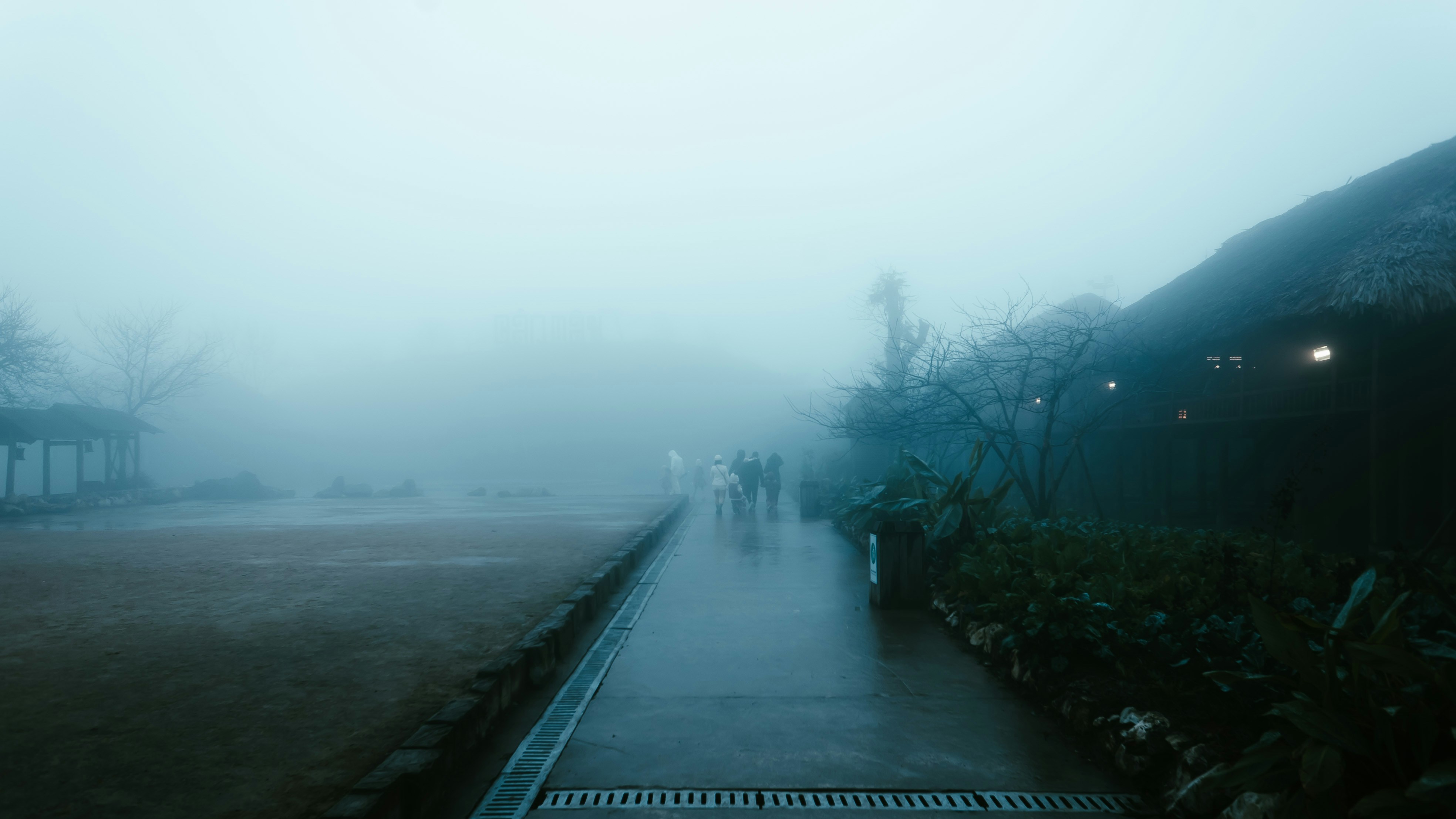 A foggy path leading to a park with benches photo – Free Nature Image ...