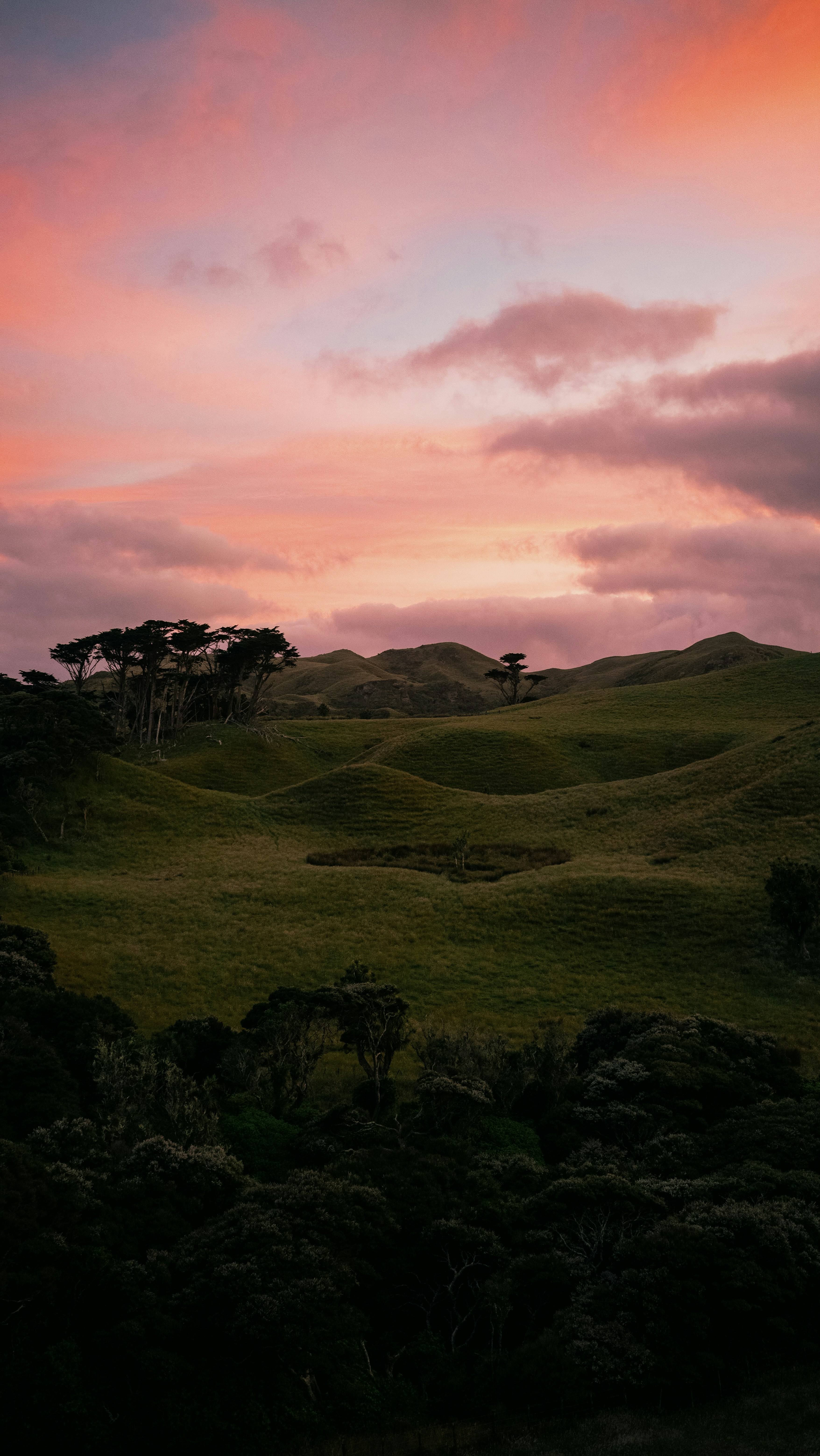 A grassy field with trees and hills in the background photo – Free Wallpaper Image on Unsplash