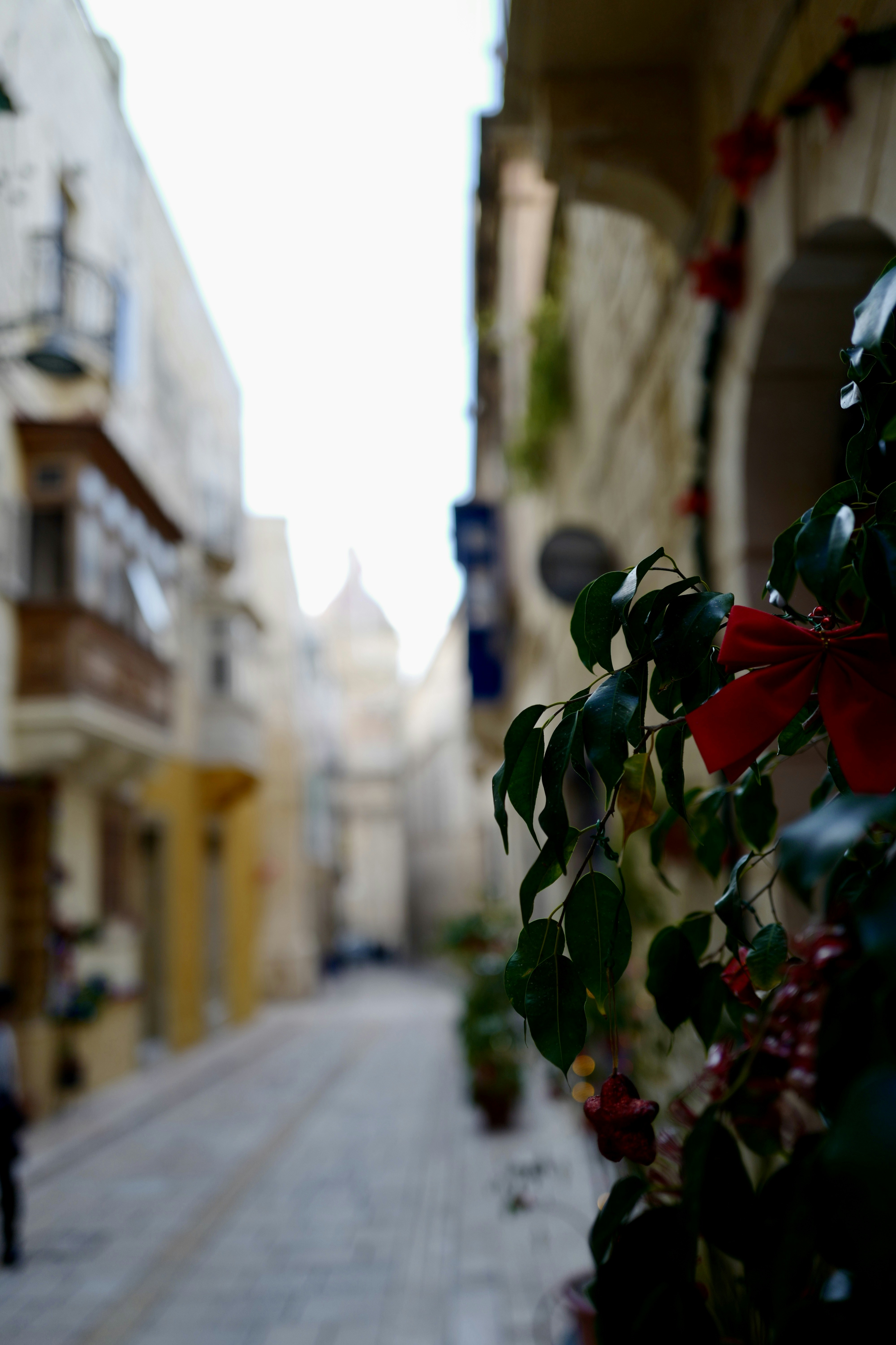 Crimson Ribbon Framing a Quiet Calle