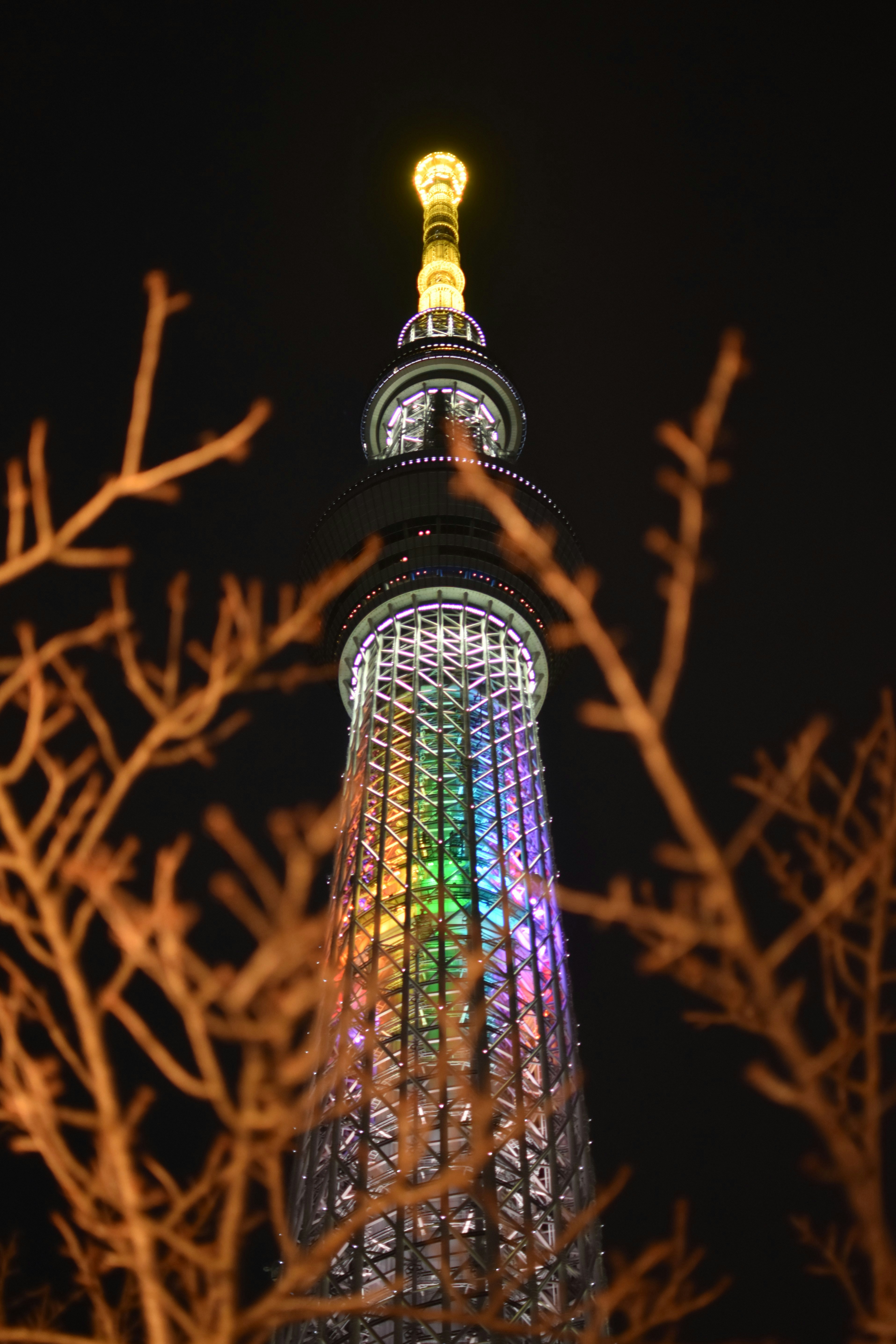 Prismatic Spire: Tokyo Skytree Illuminates Night Through Winter Branches