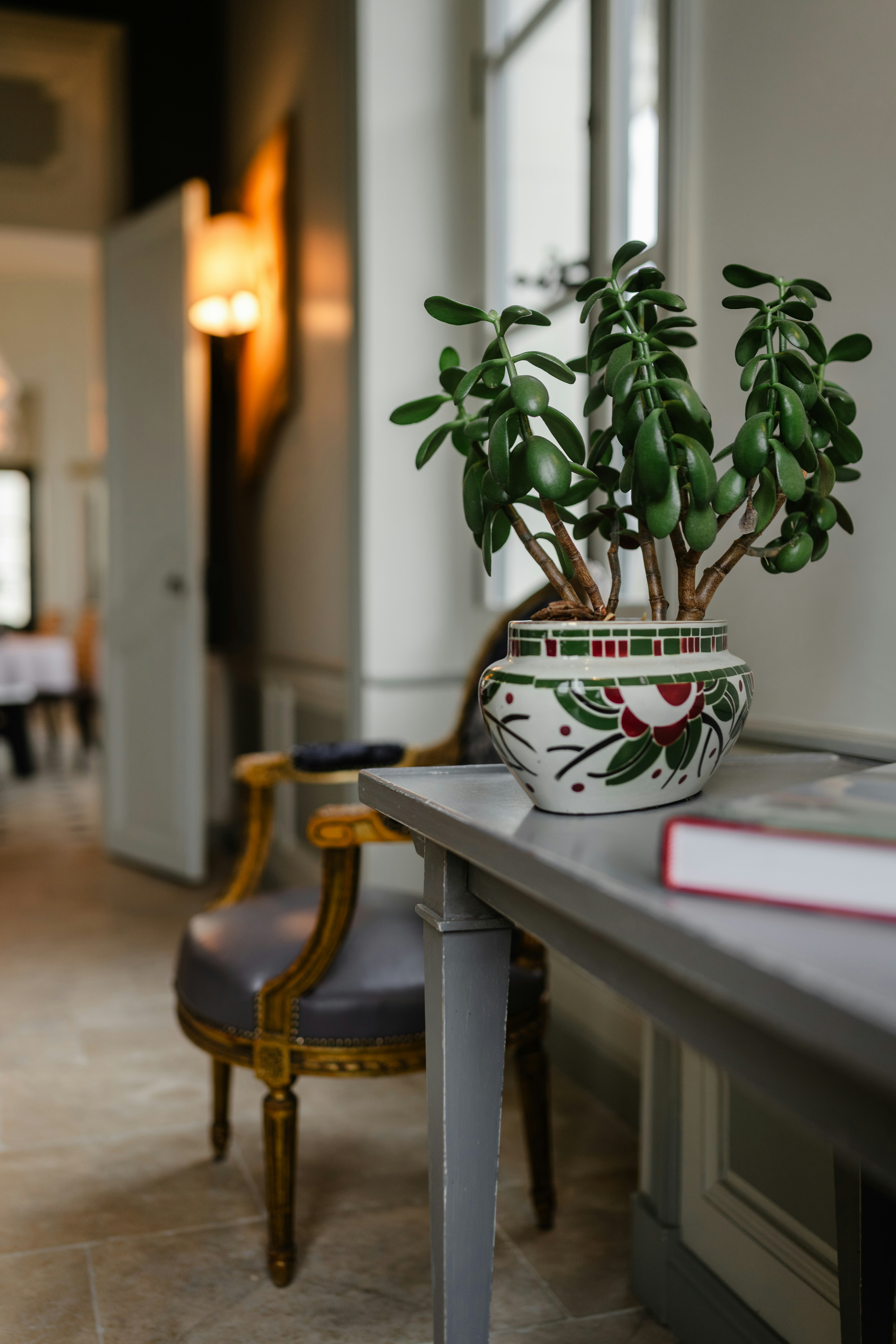 Verdant Jade in a Painted Pot Anchors a Quiet Hallway Table