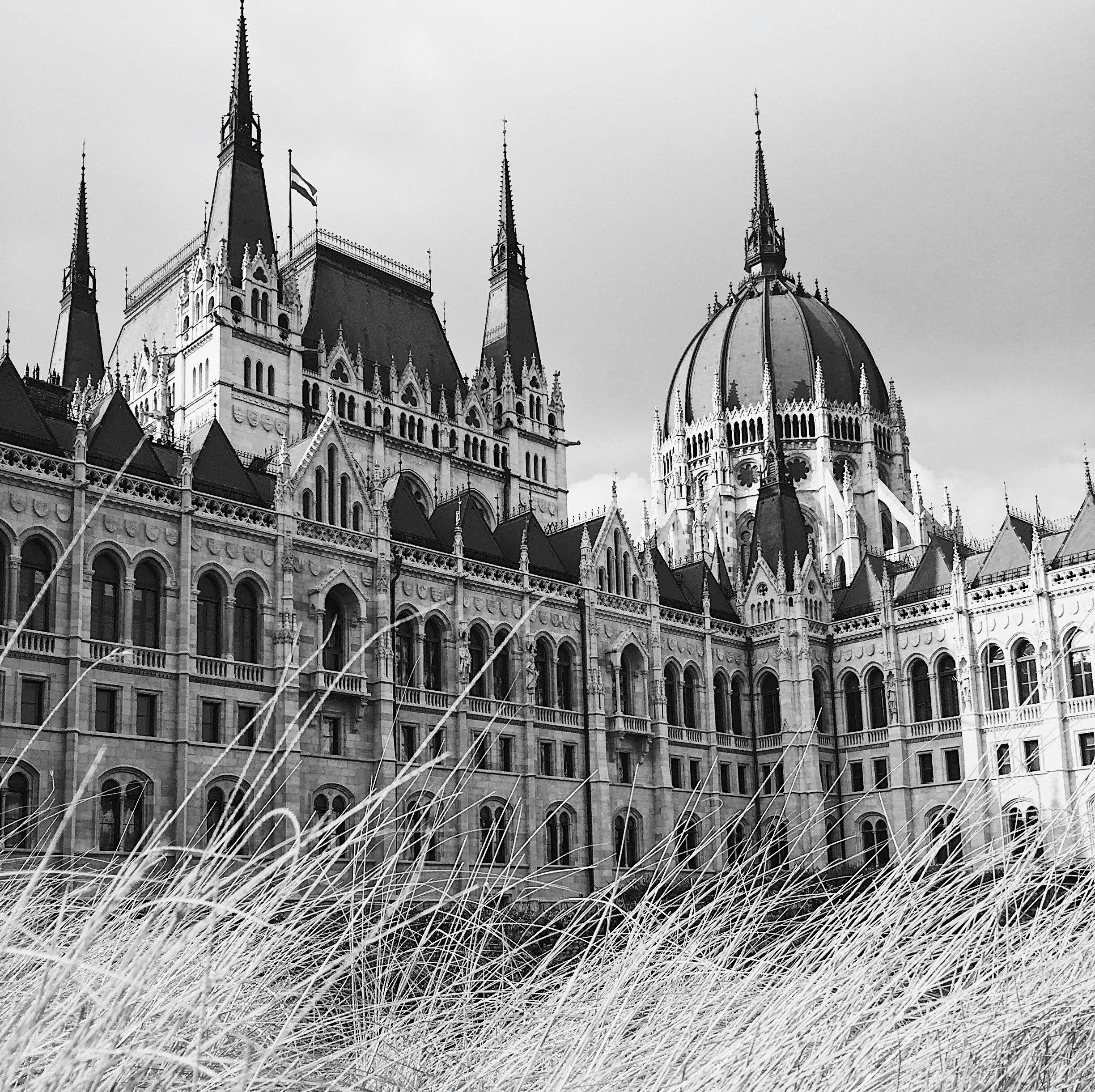 Spireline in Gray: Budapest Parliament Framed by Wind-Grass