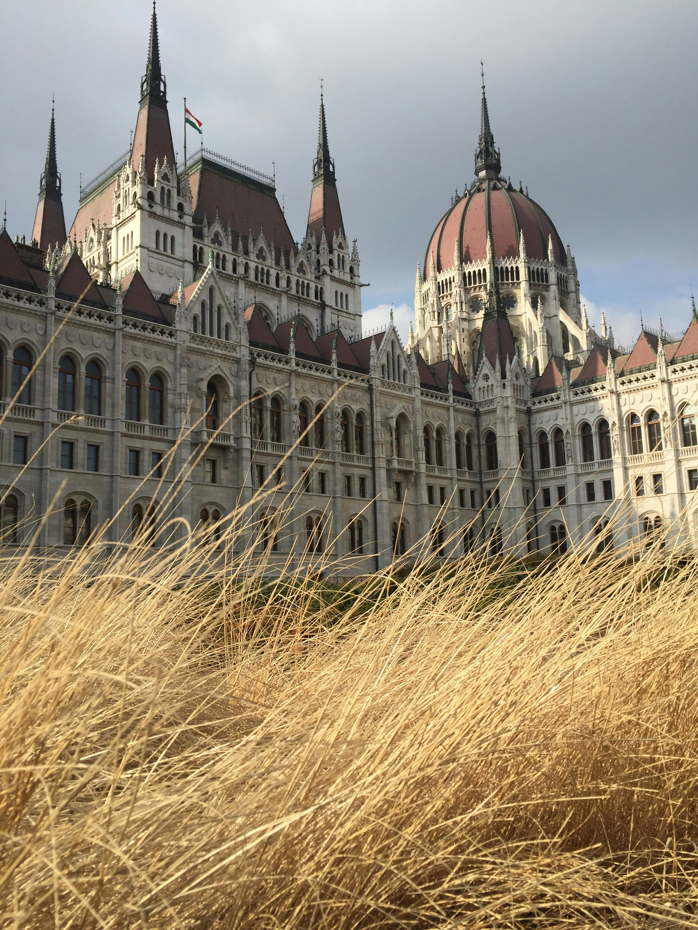 Golden Grasses, Gothic Grandeur: Budapest's Parliament Framed in Field Foreground