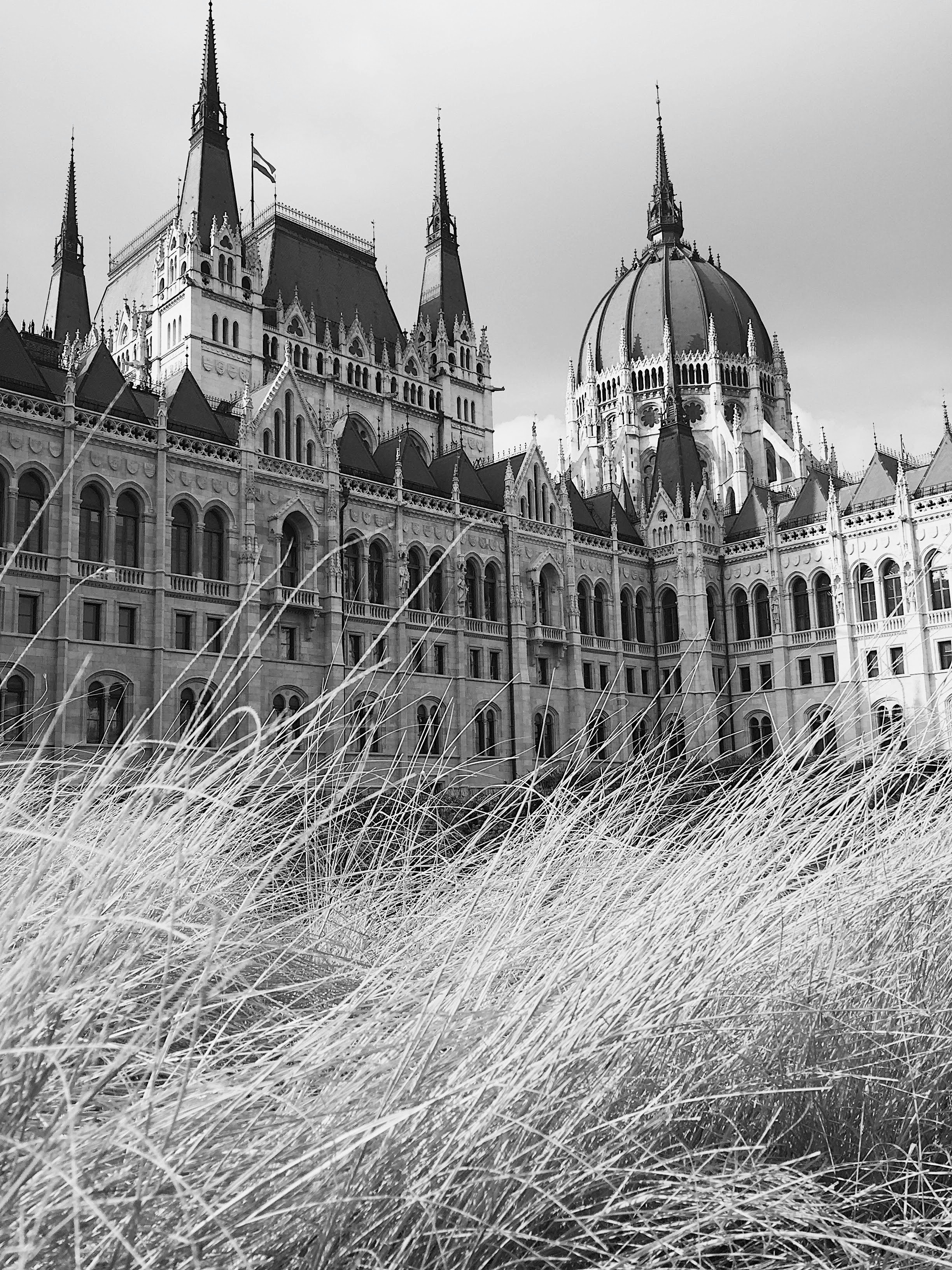 Budapest Parliament in Mono: Spires Rising Behind a Field of Tall Grass