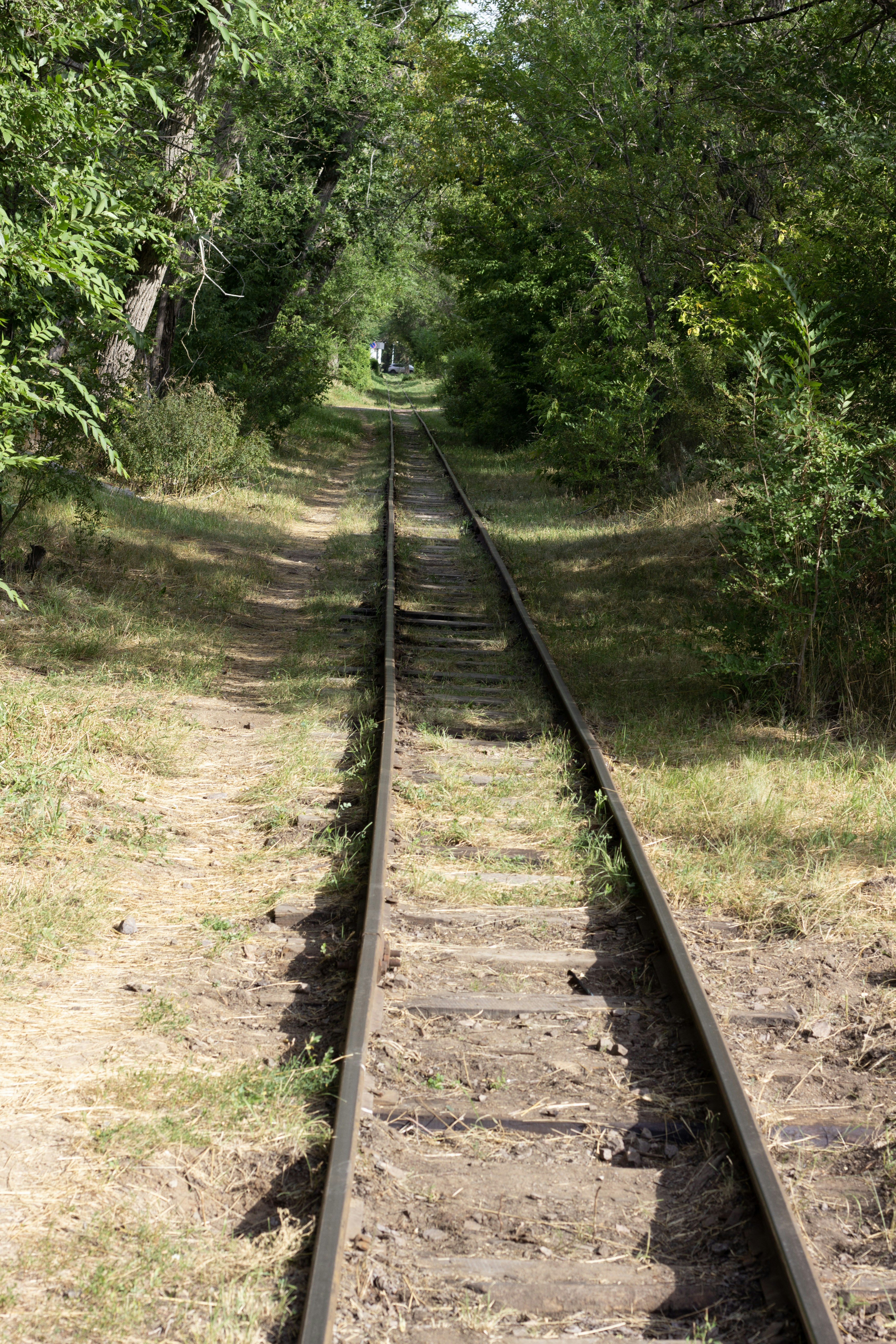 A train track running through a wooded area photo – Free Forest Image ...