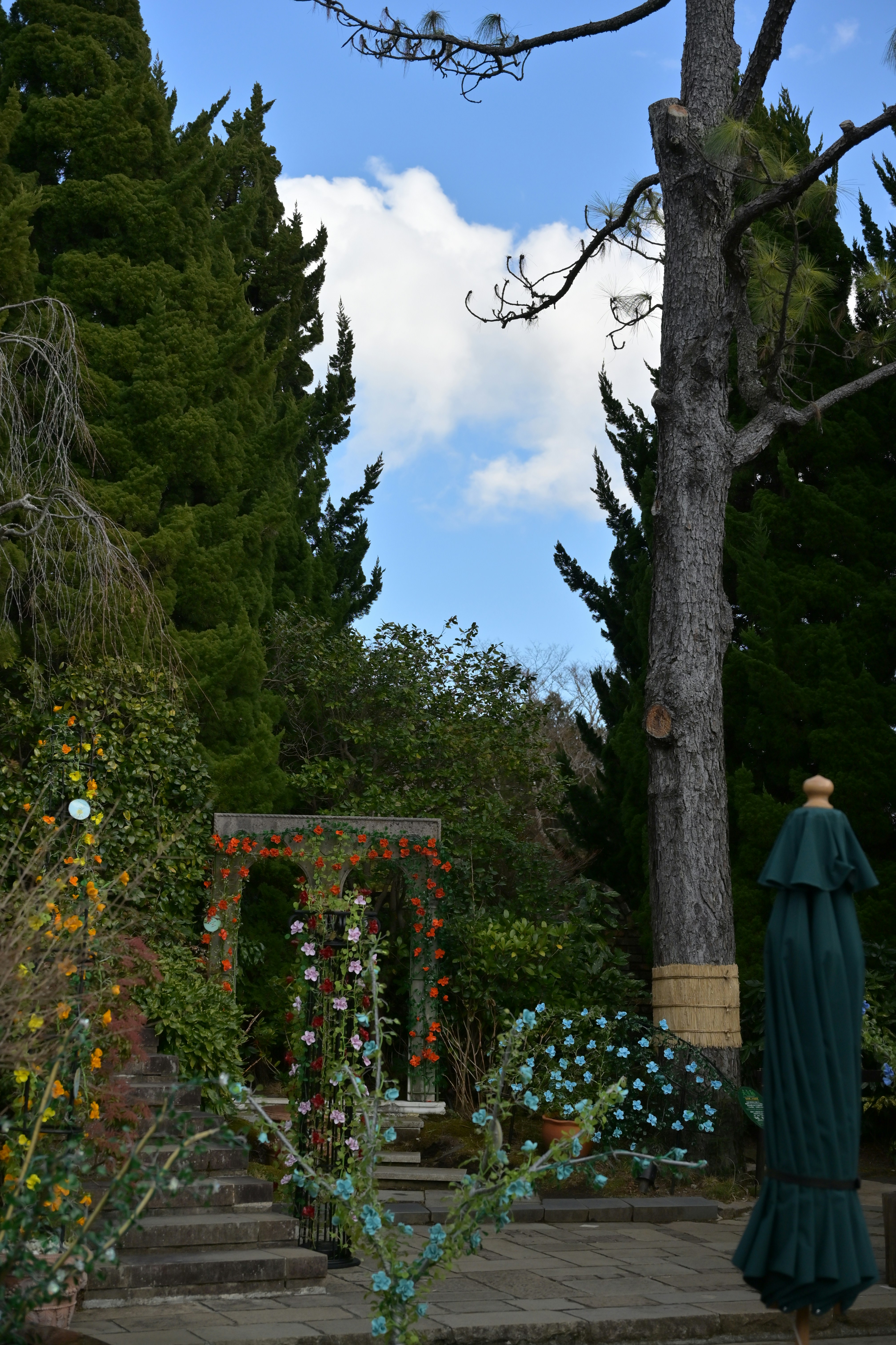 Garden Archway in Bloom: A Sunlit Courtyard Portrait