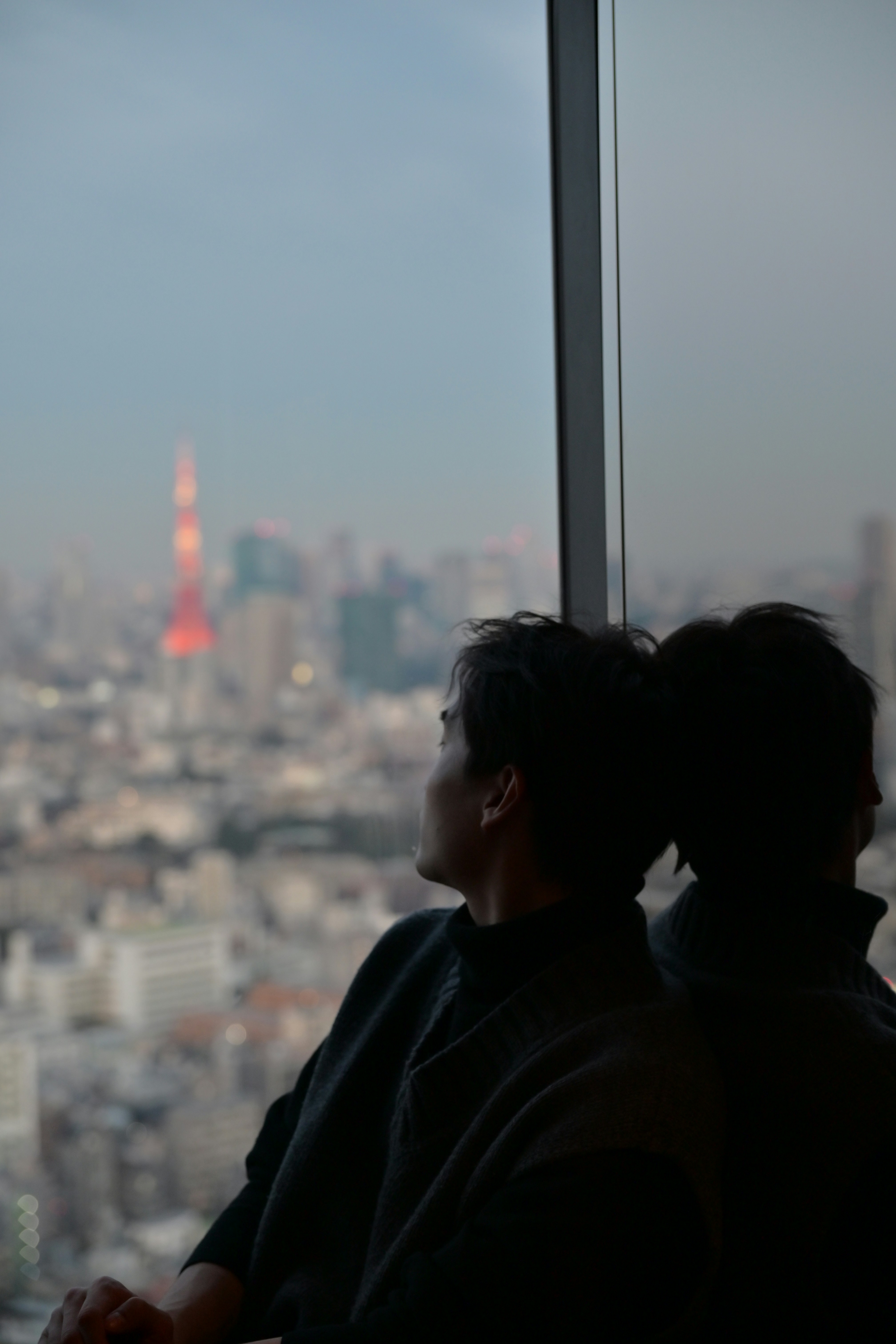 Window Gaze Over a Quiet City: Silhouette Against a Blurred Skyline