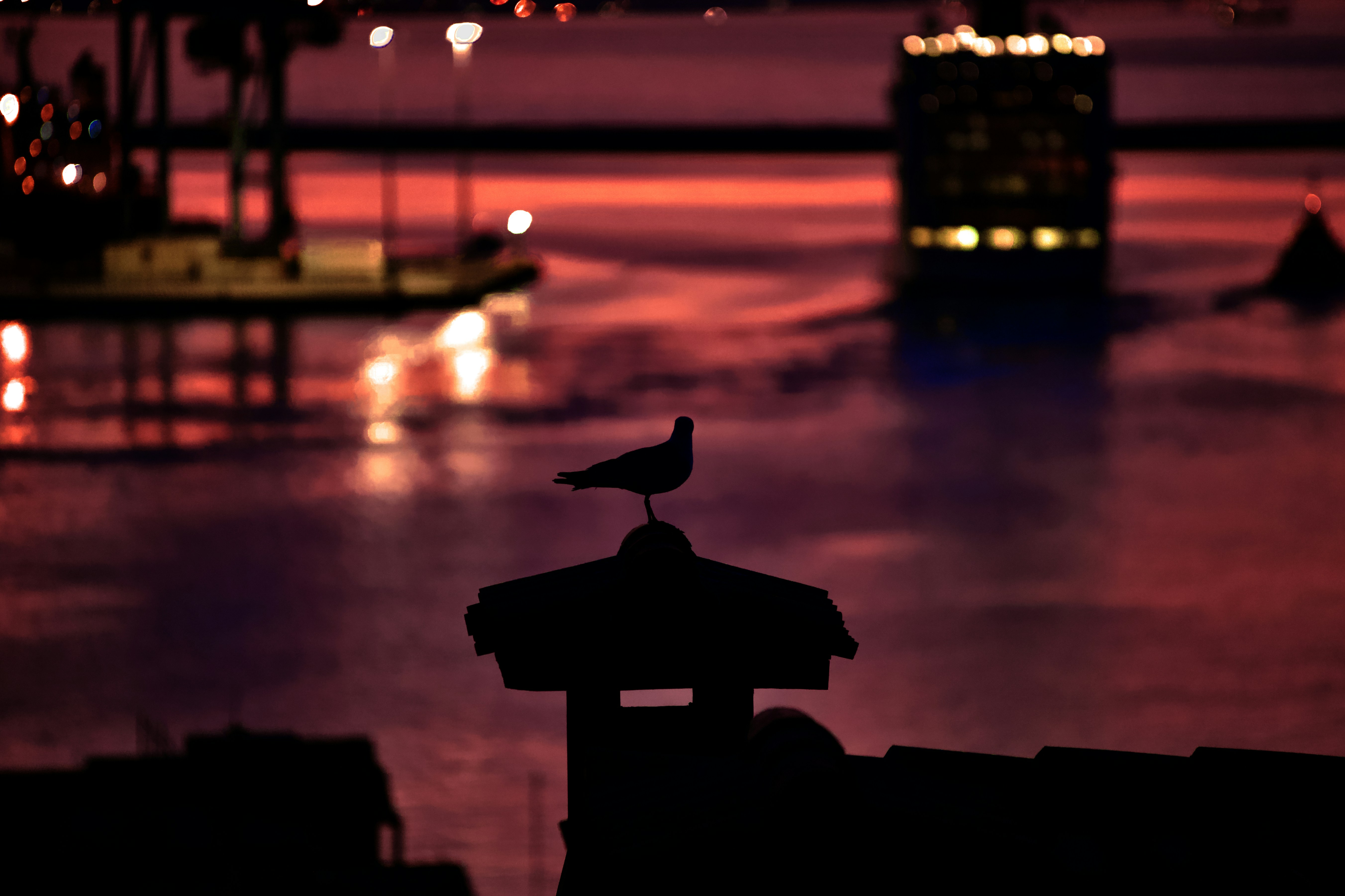 Silhouette Serenity at Dusk