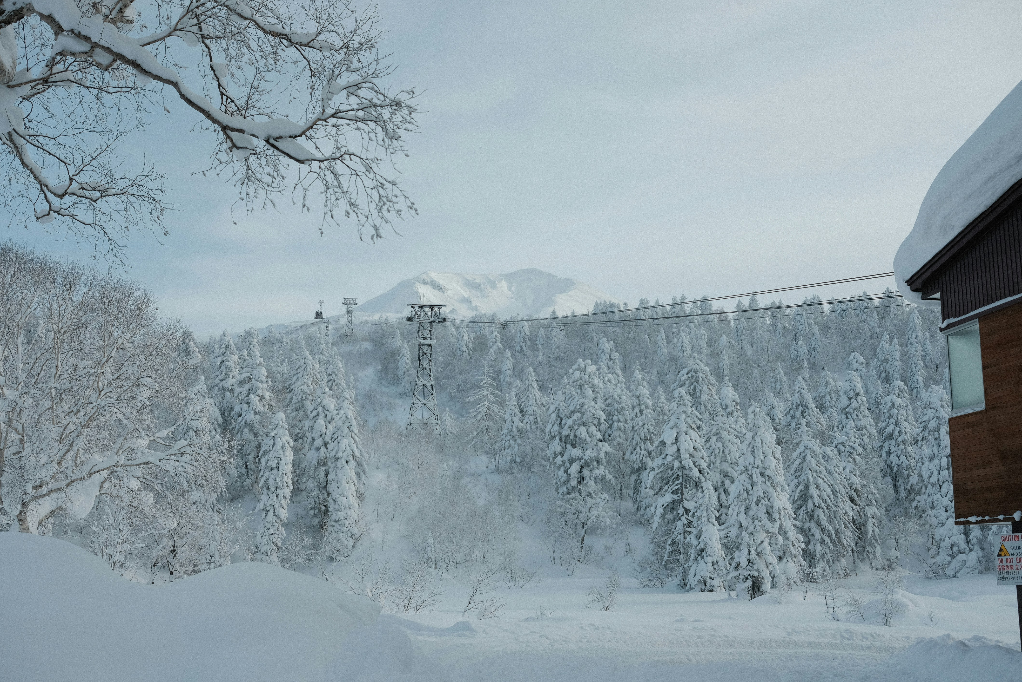 Centered Lift Looms Over Frost-Blanketed Pines