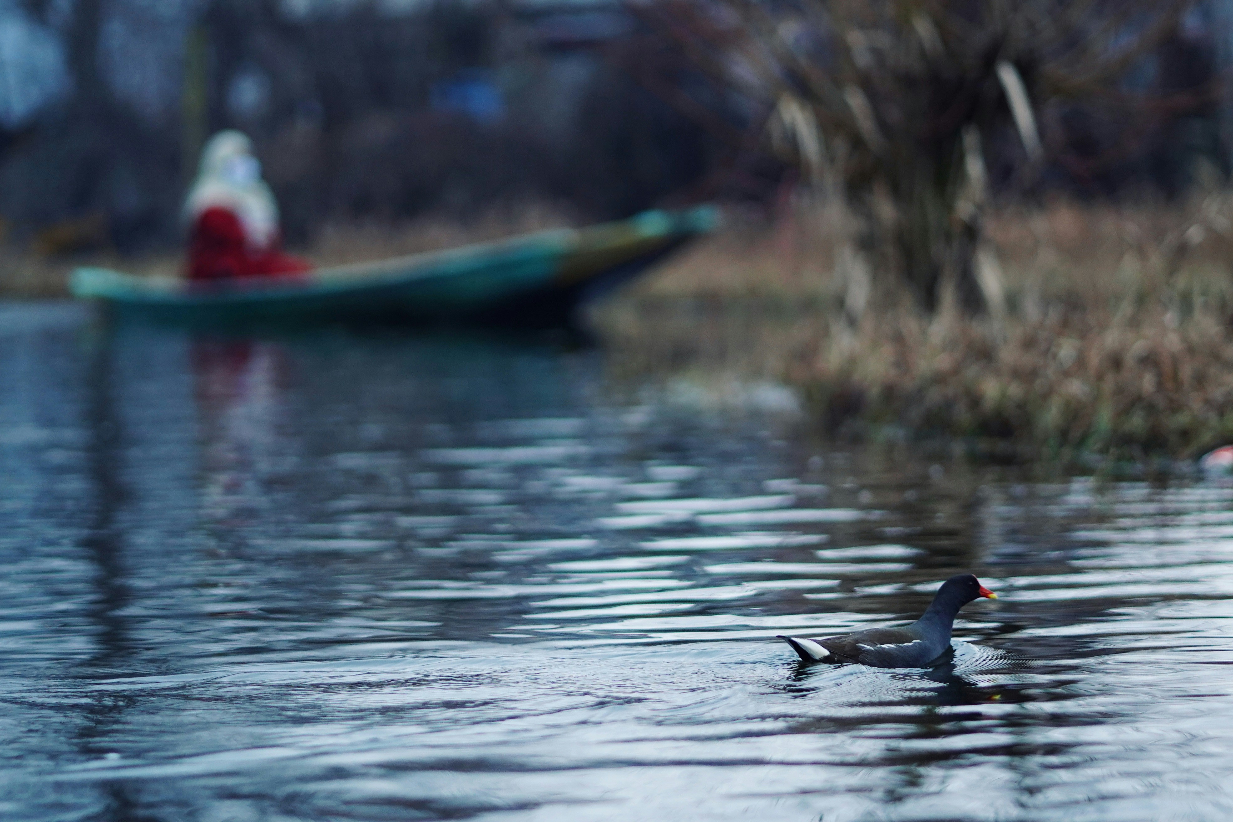 Un par de botes flotando en la cima de un lago foto – Imagen de Bote ...
