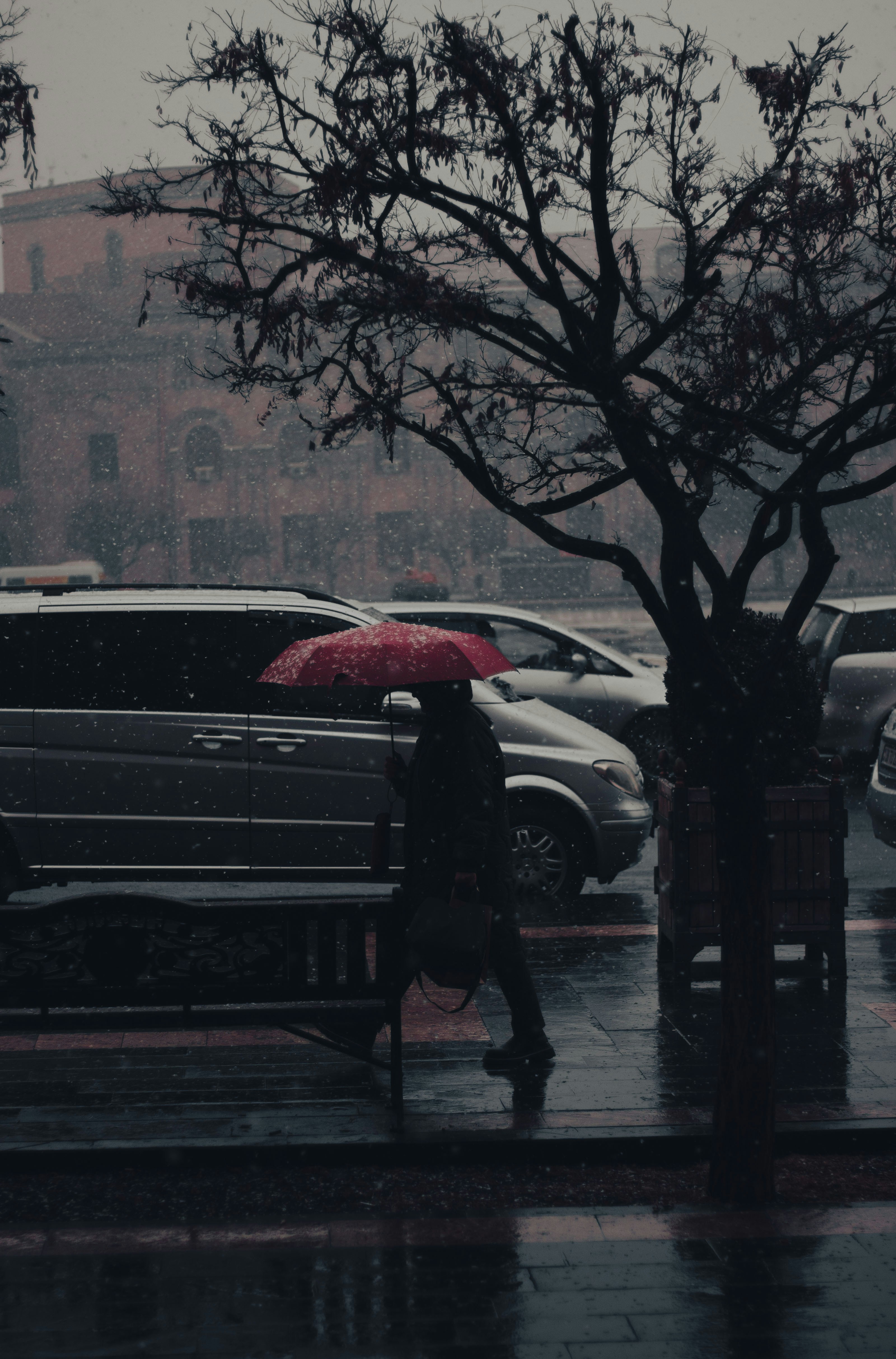 Silhouette of a person walking with a red umbrella amidst falling snow, framed by a tree and parked cars. The scene evokes a moody urban atmosphere.