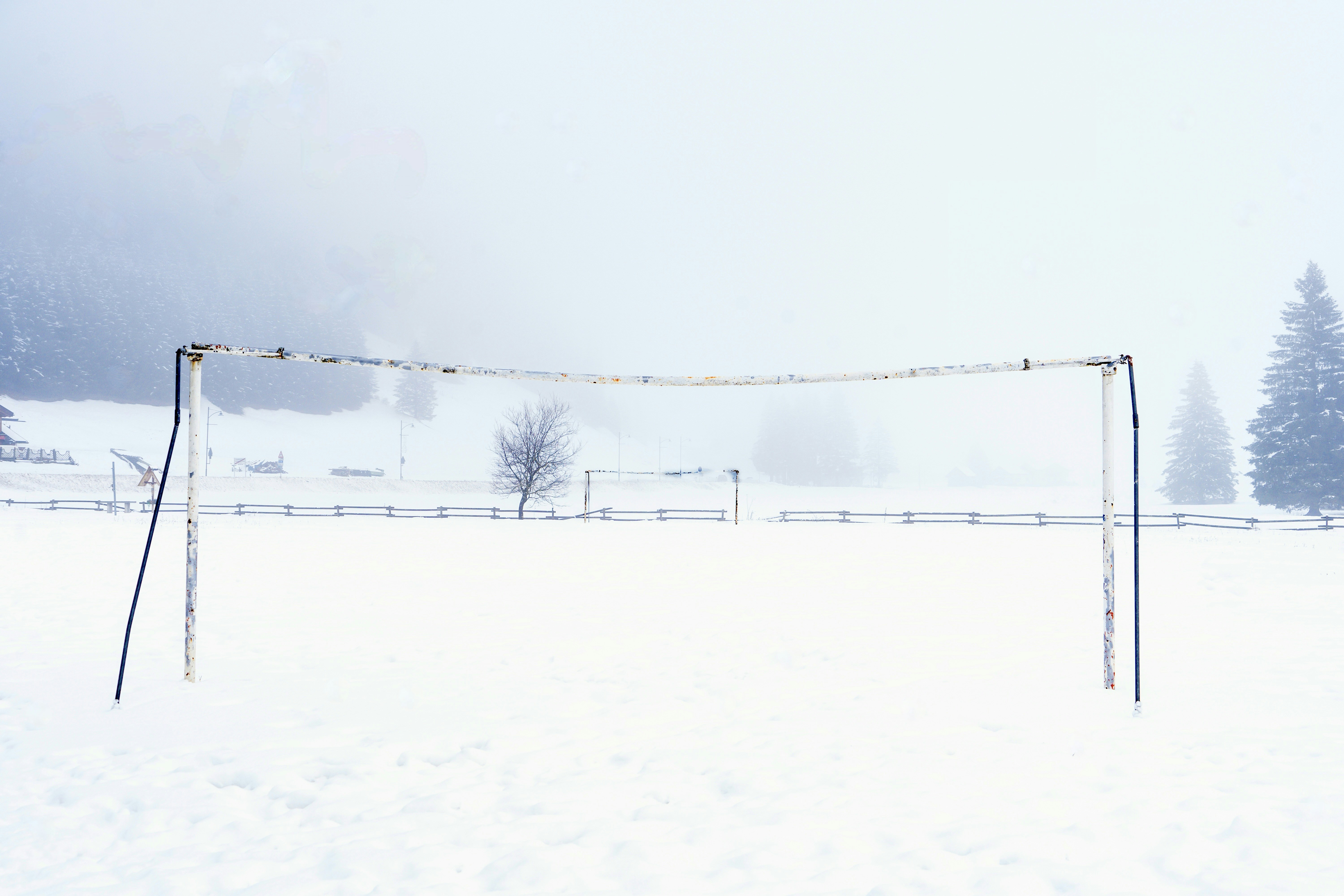 A soccer goal in the snow with trees in the background photo – Free ...