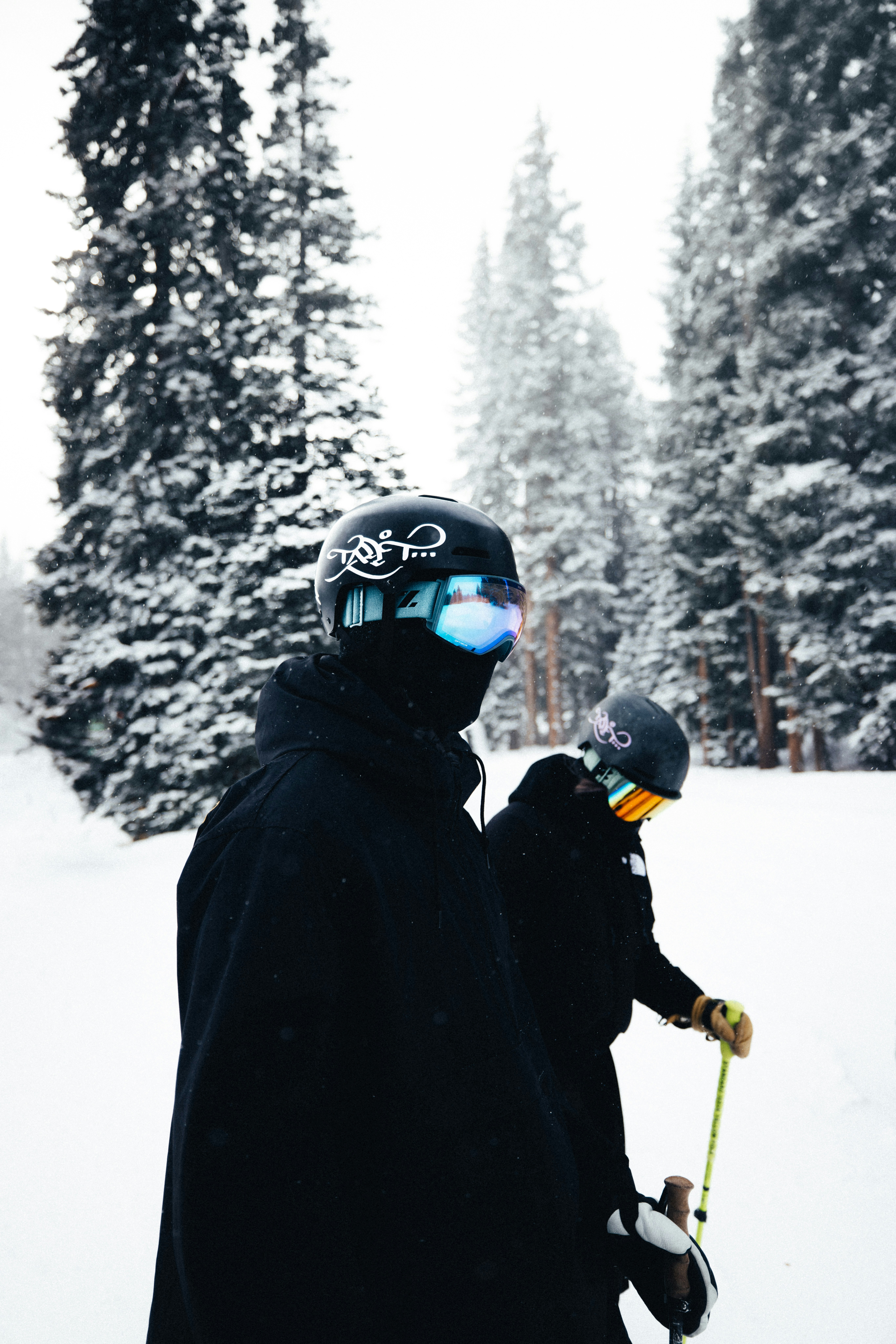 Silent Glide Through Snowy Giants