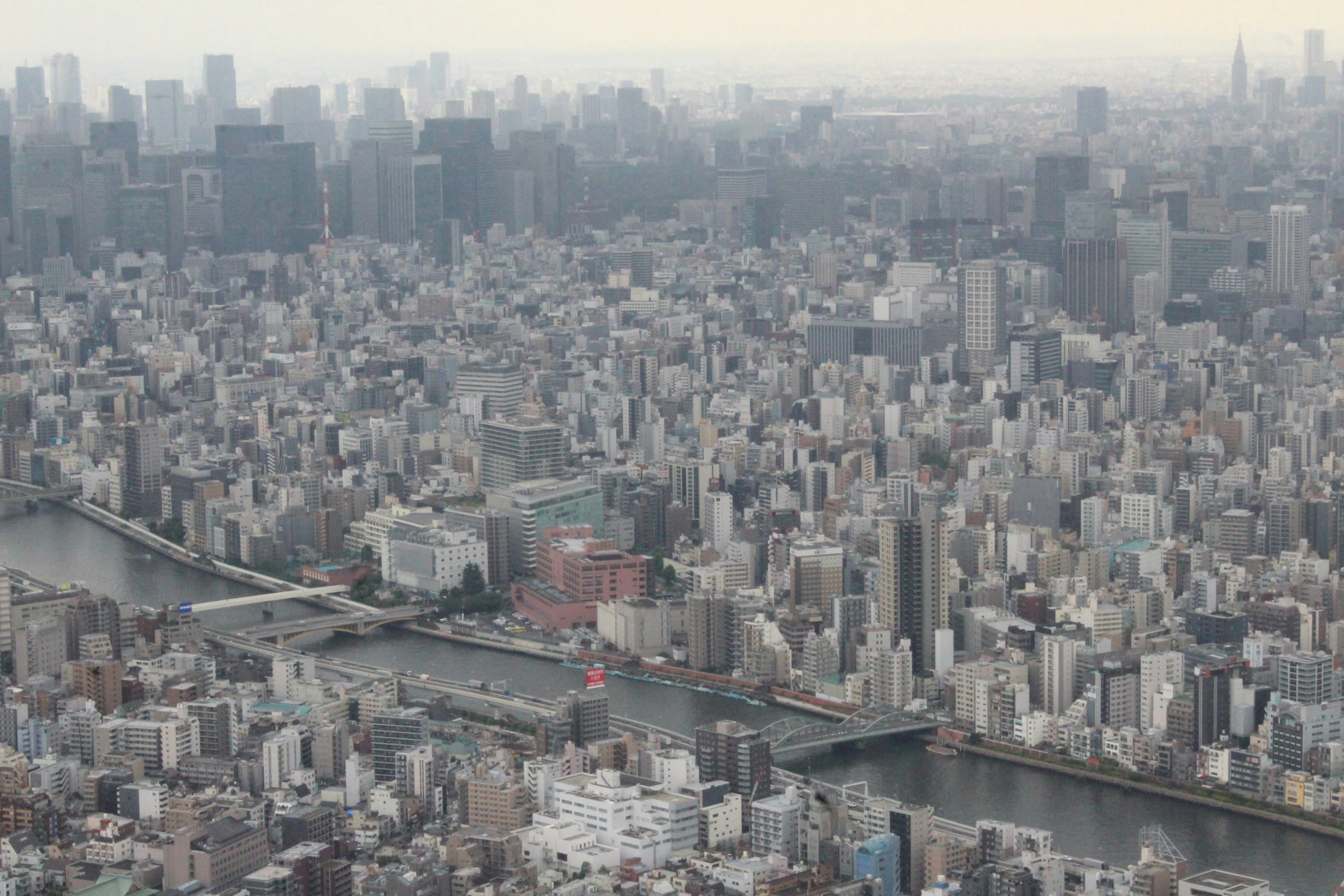 Photo by Issy Doherty with Canon EOS 1300D