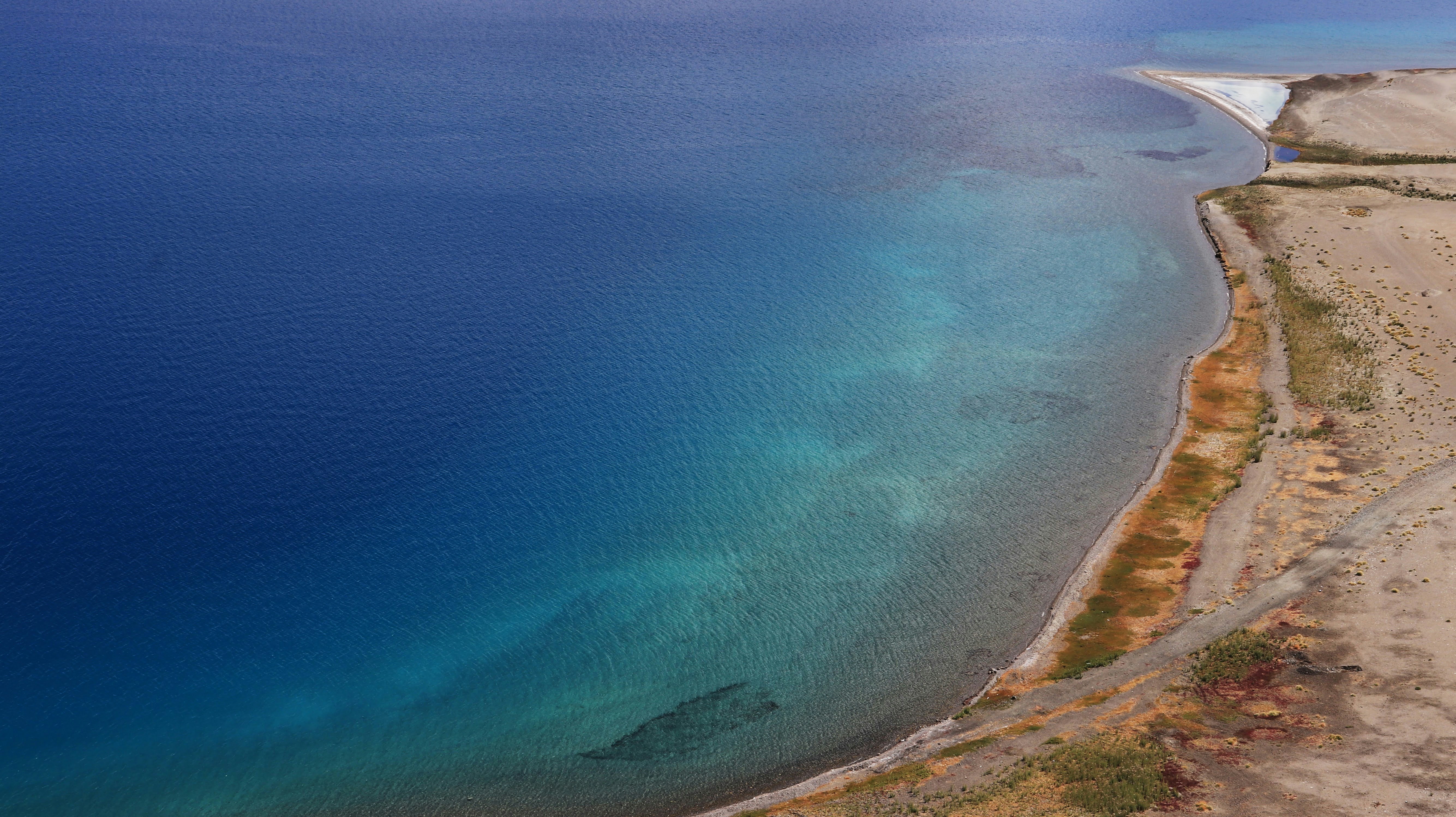 Aerial view of a tranquil shoreline where vibrant blue waters blend seamlessly with sandy beaches and patches of greenery.