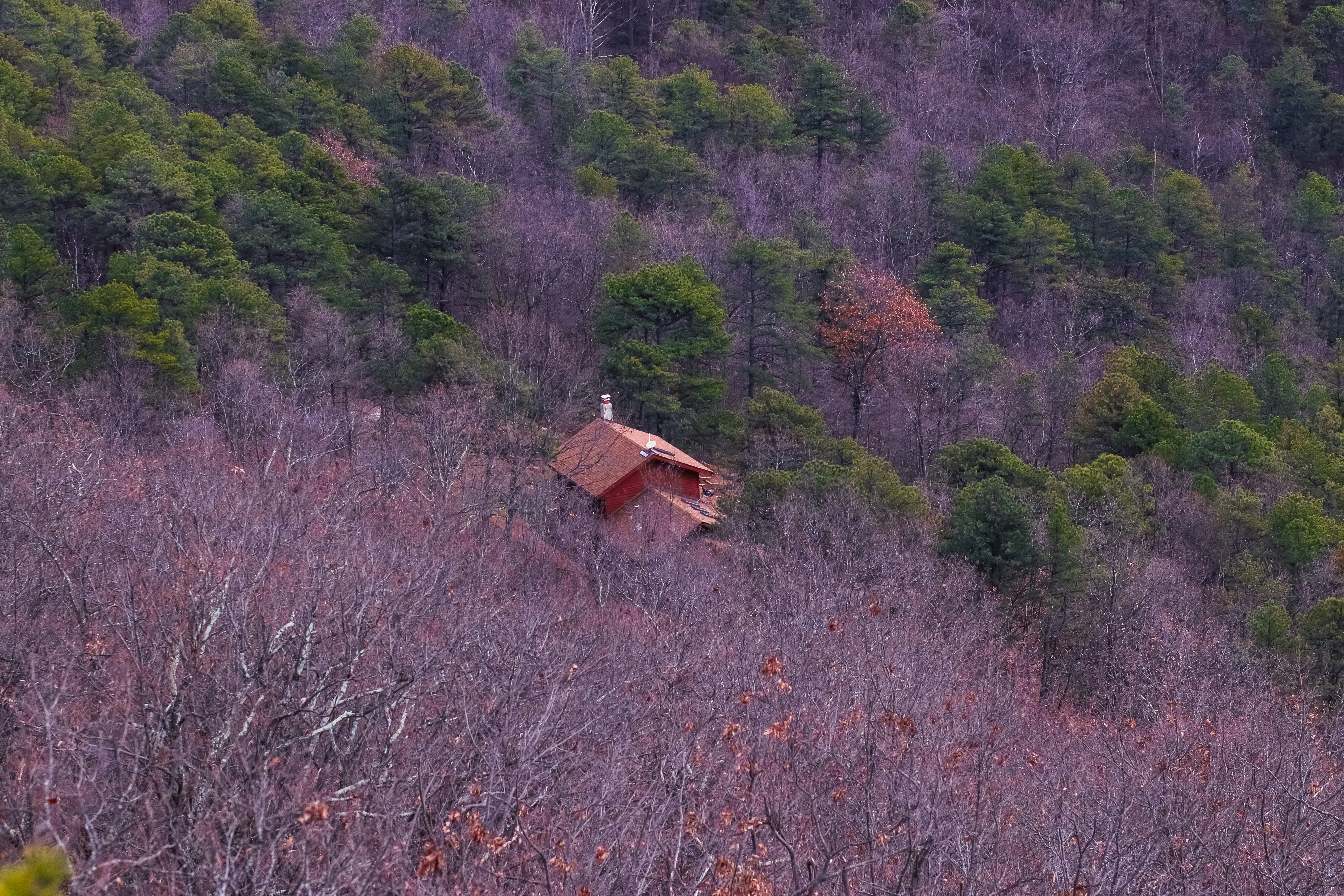 Photo by Angelica Jasmin with Canon EOS 800D