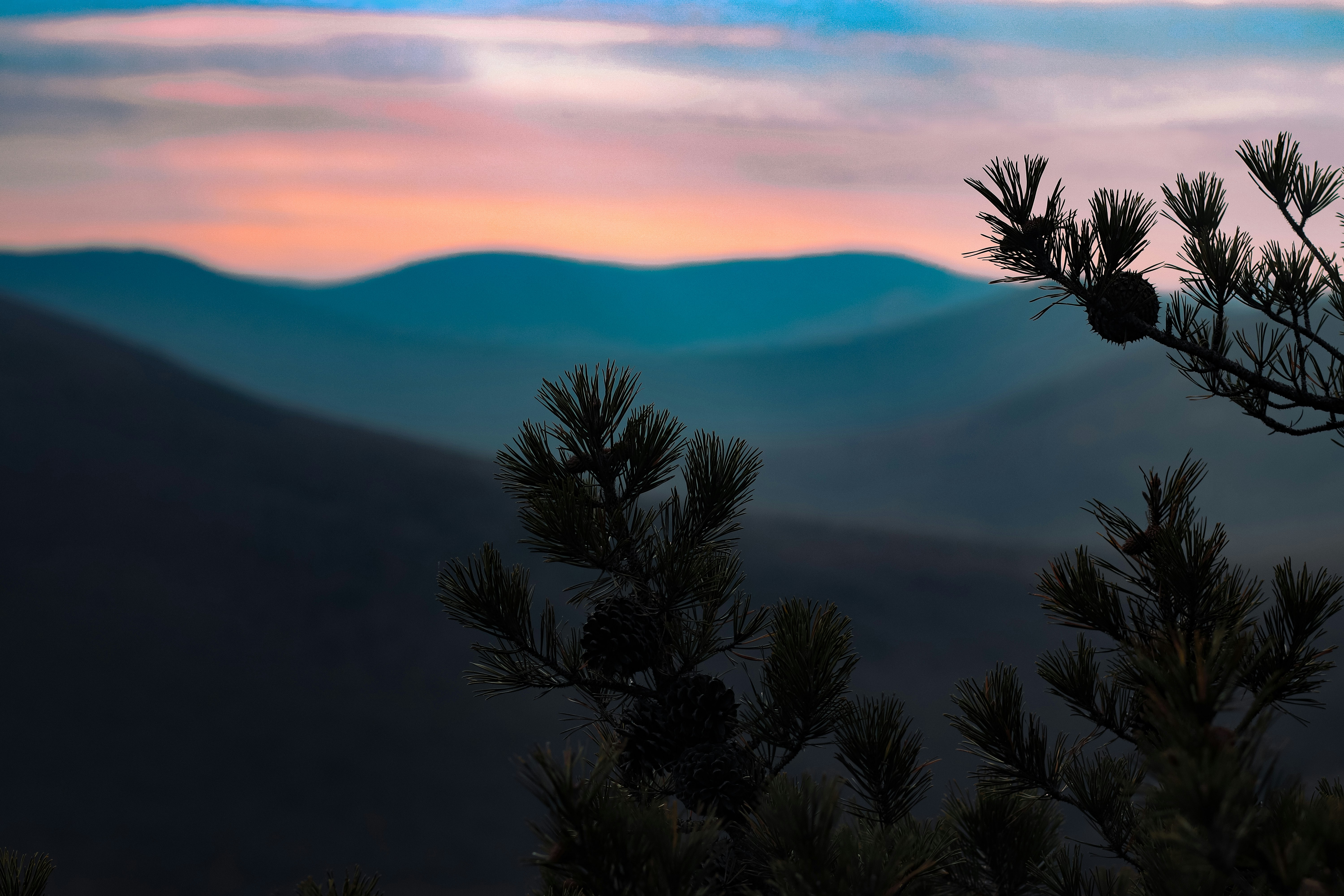 Dawn over Quiet Pines: Layers of Blue in a Mountain Veil