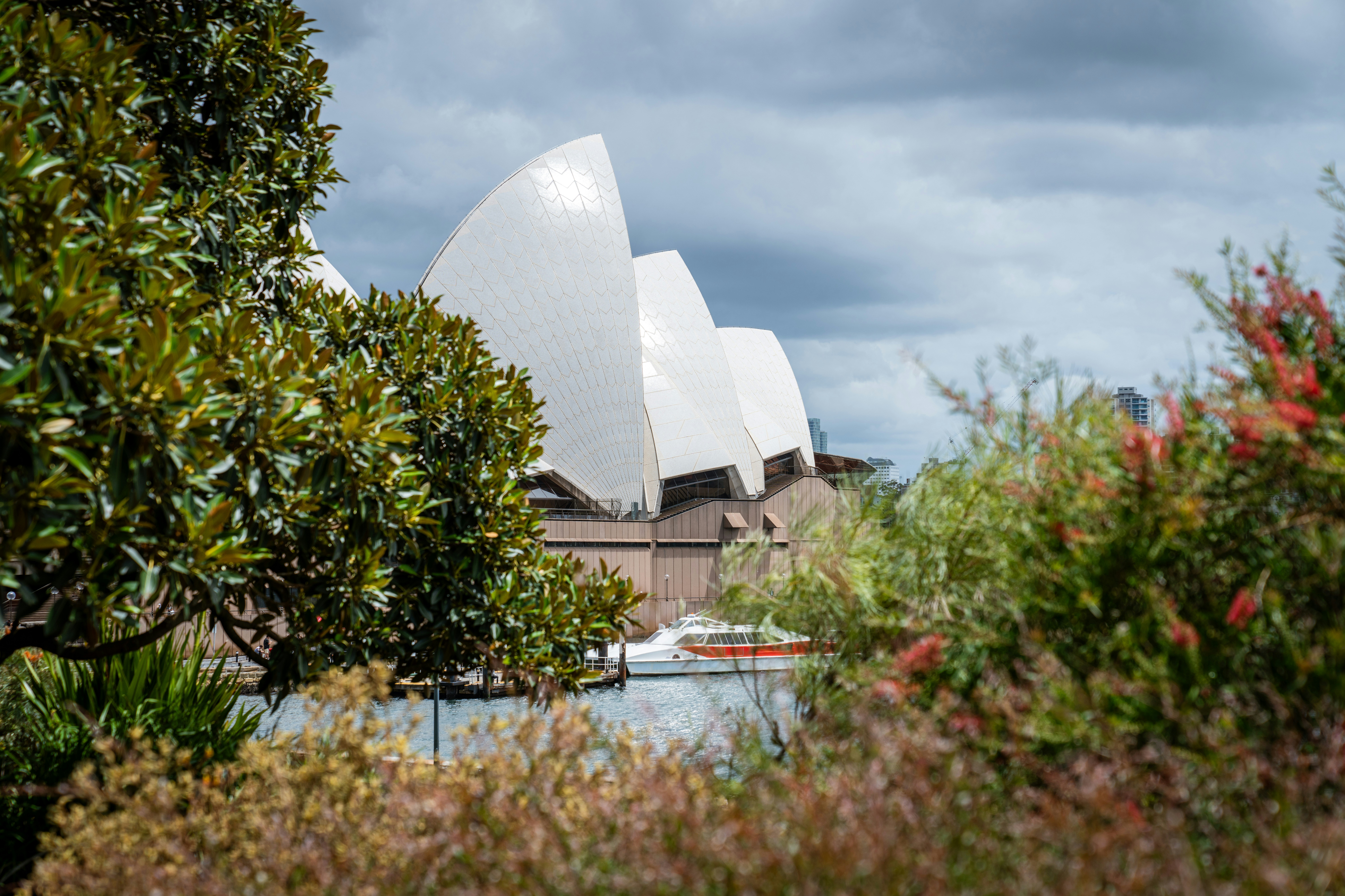 Sails Above the Harbour: Opera House Framed by Greenery