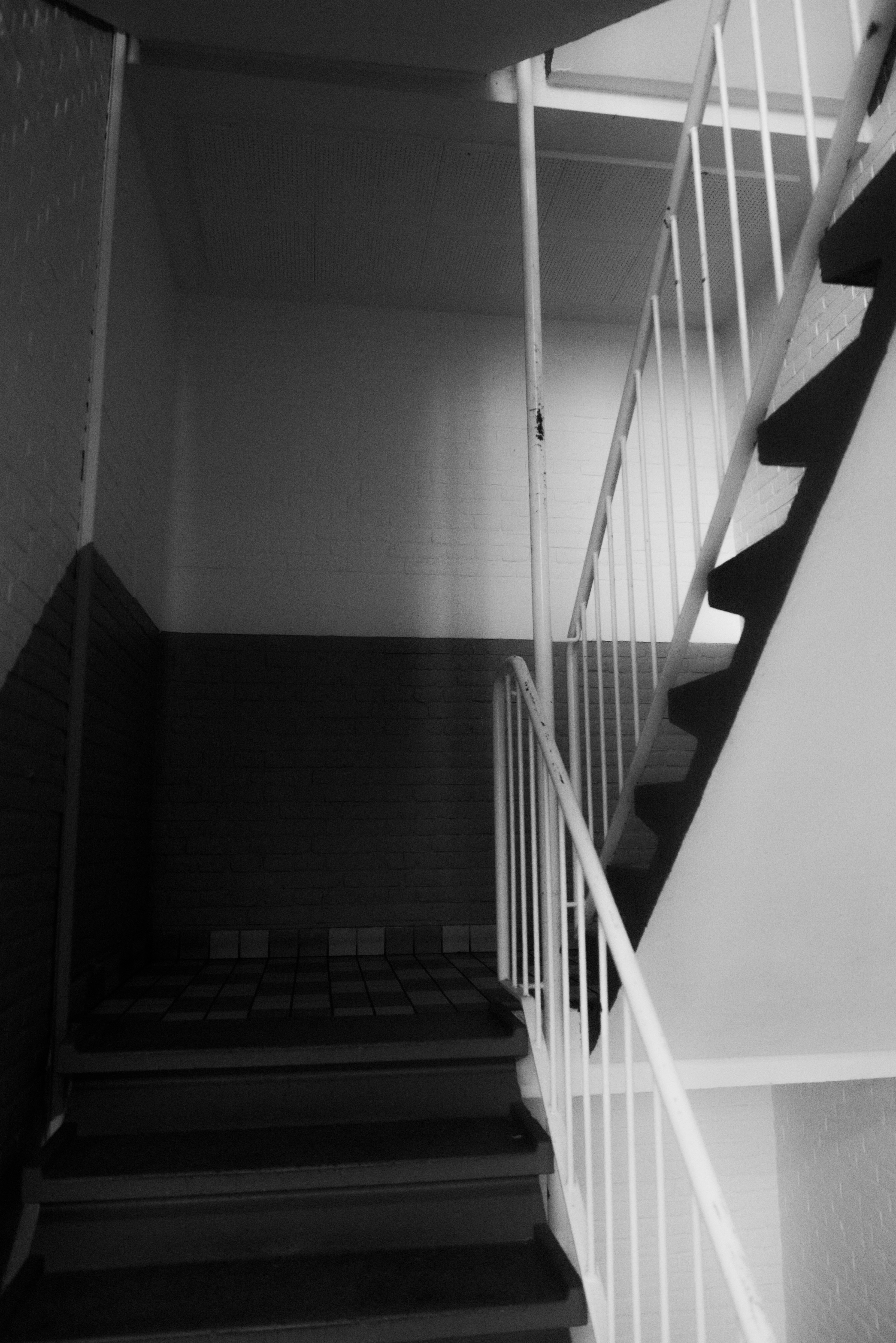 Photo by Leon Bredella with Leica D-Lux 8