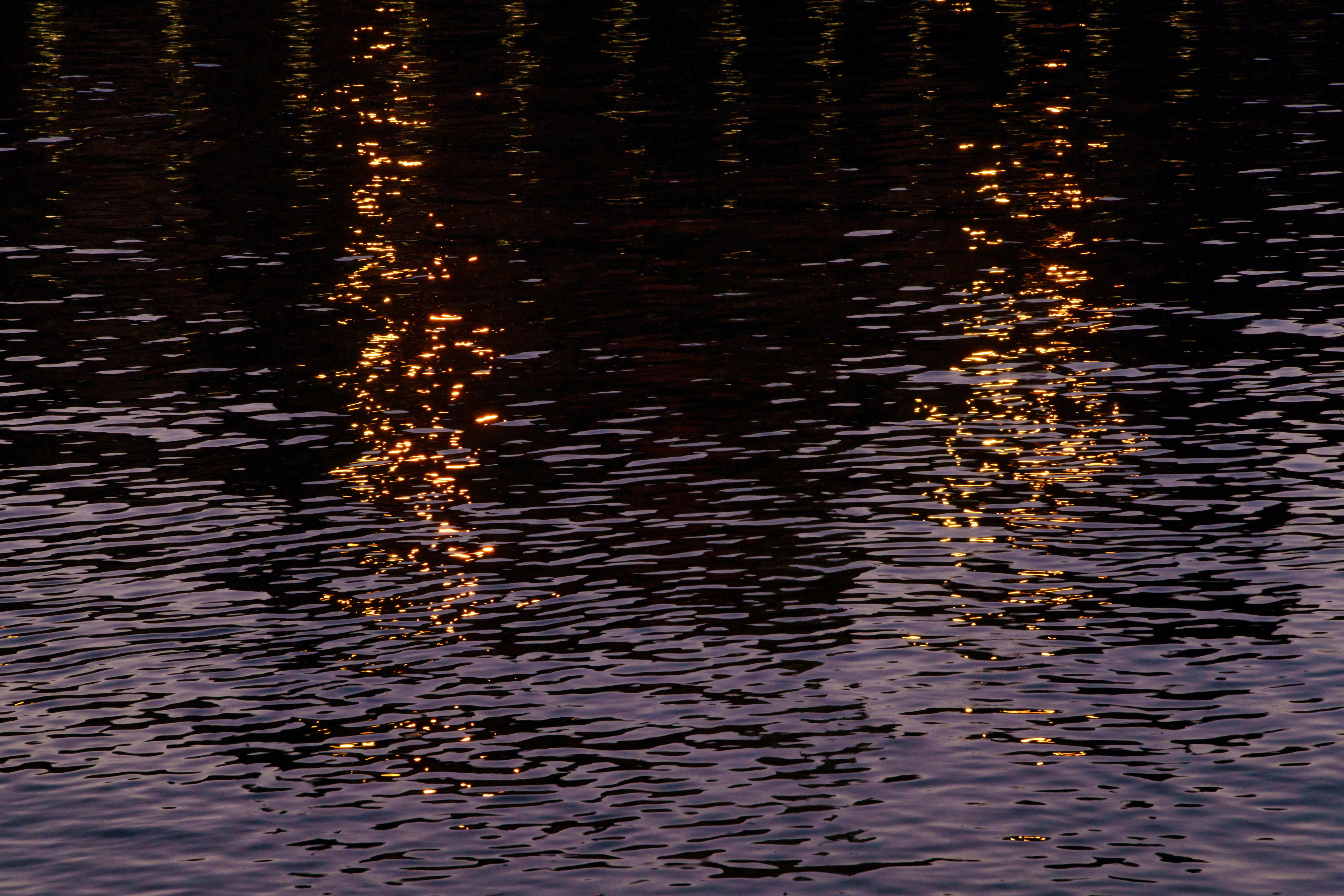 Photo by Tadeusz Zachwieja with Sony Alpha 7R V