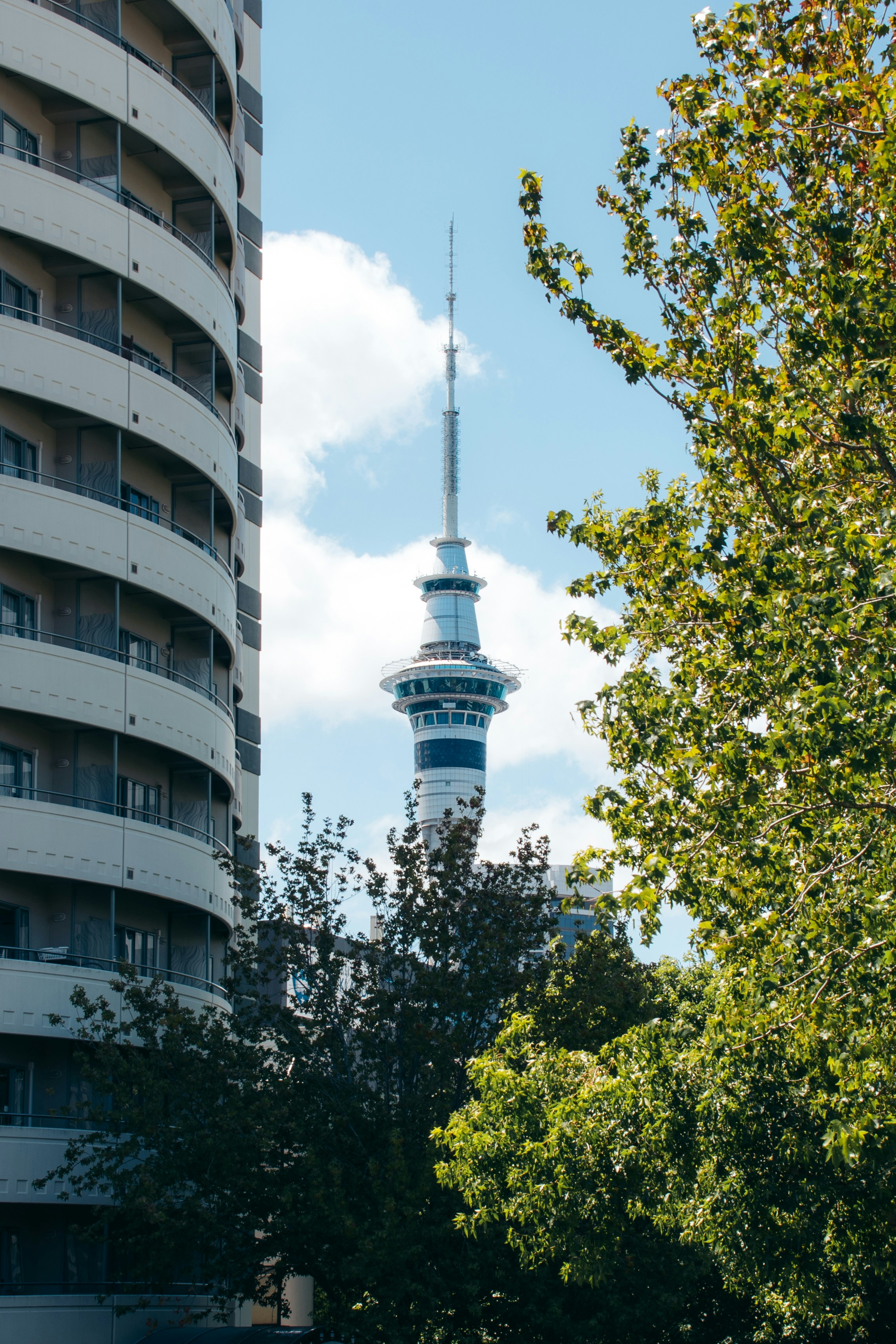 Skytree Framed: A Tower Rising Between Curved Balconies and Greenery