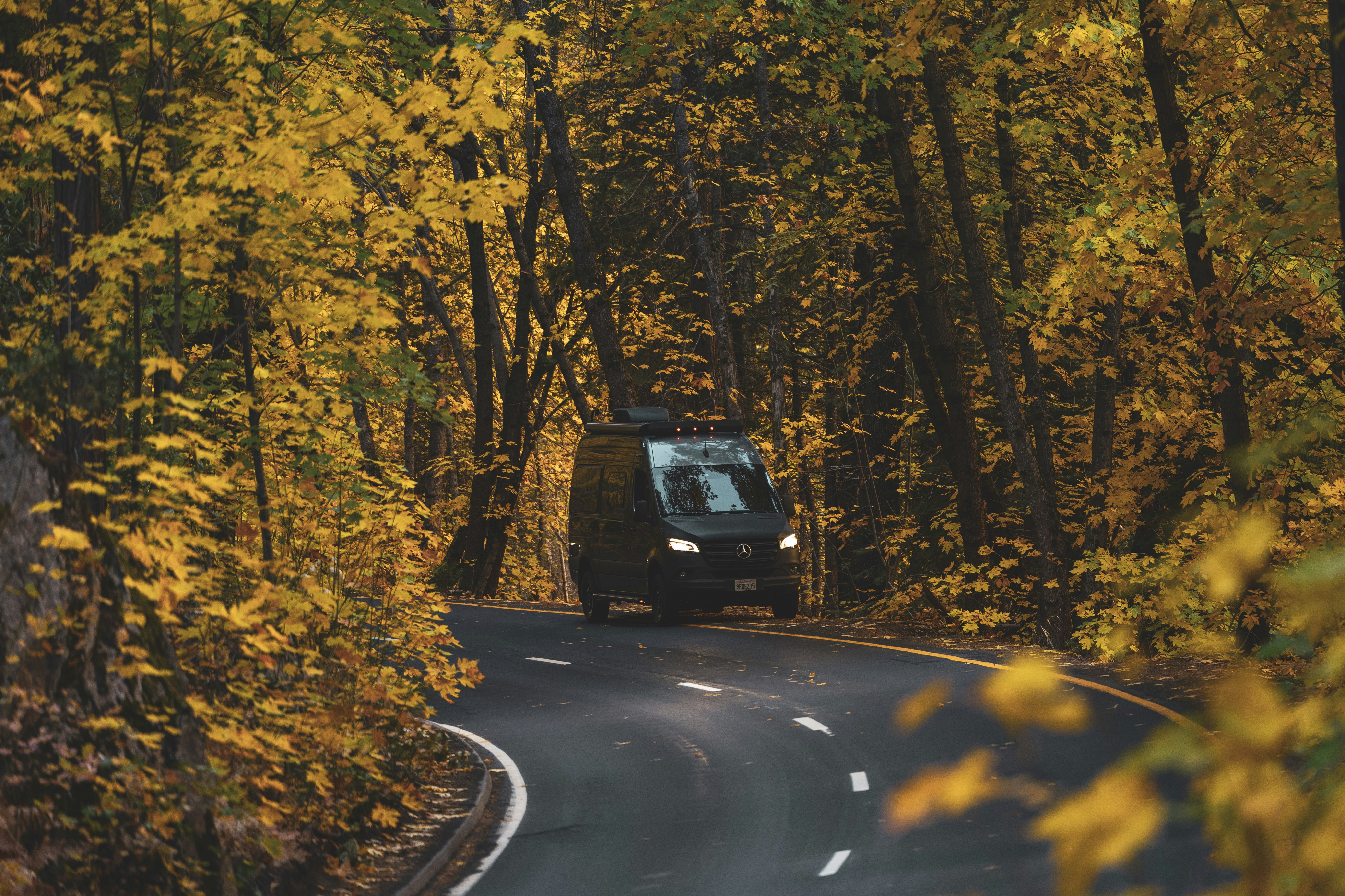 A truck driving down a road surrounded by trees photo – Free Yosemite ...