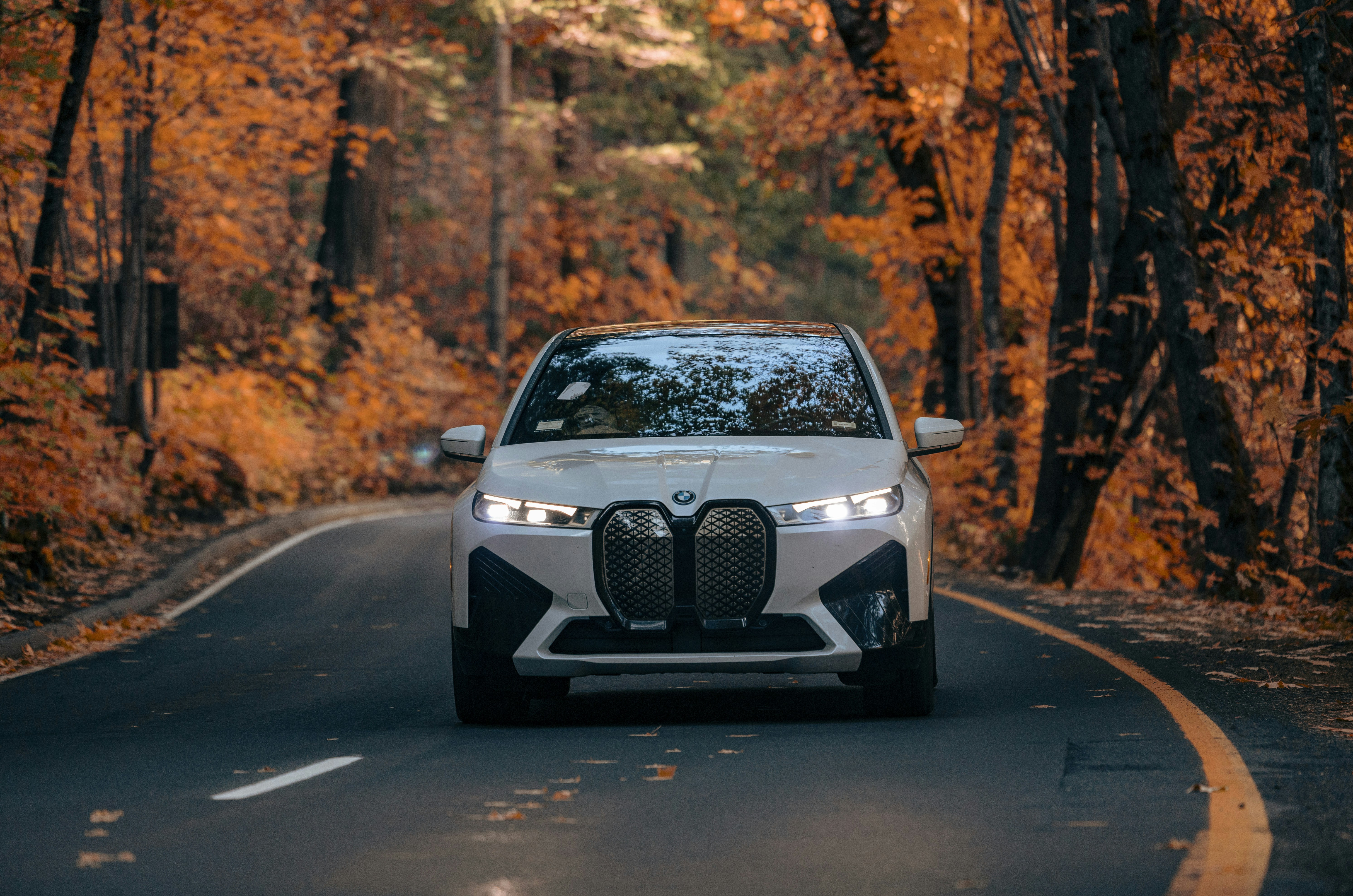 A white car driving down a road surrounded by trees photo – Free ...