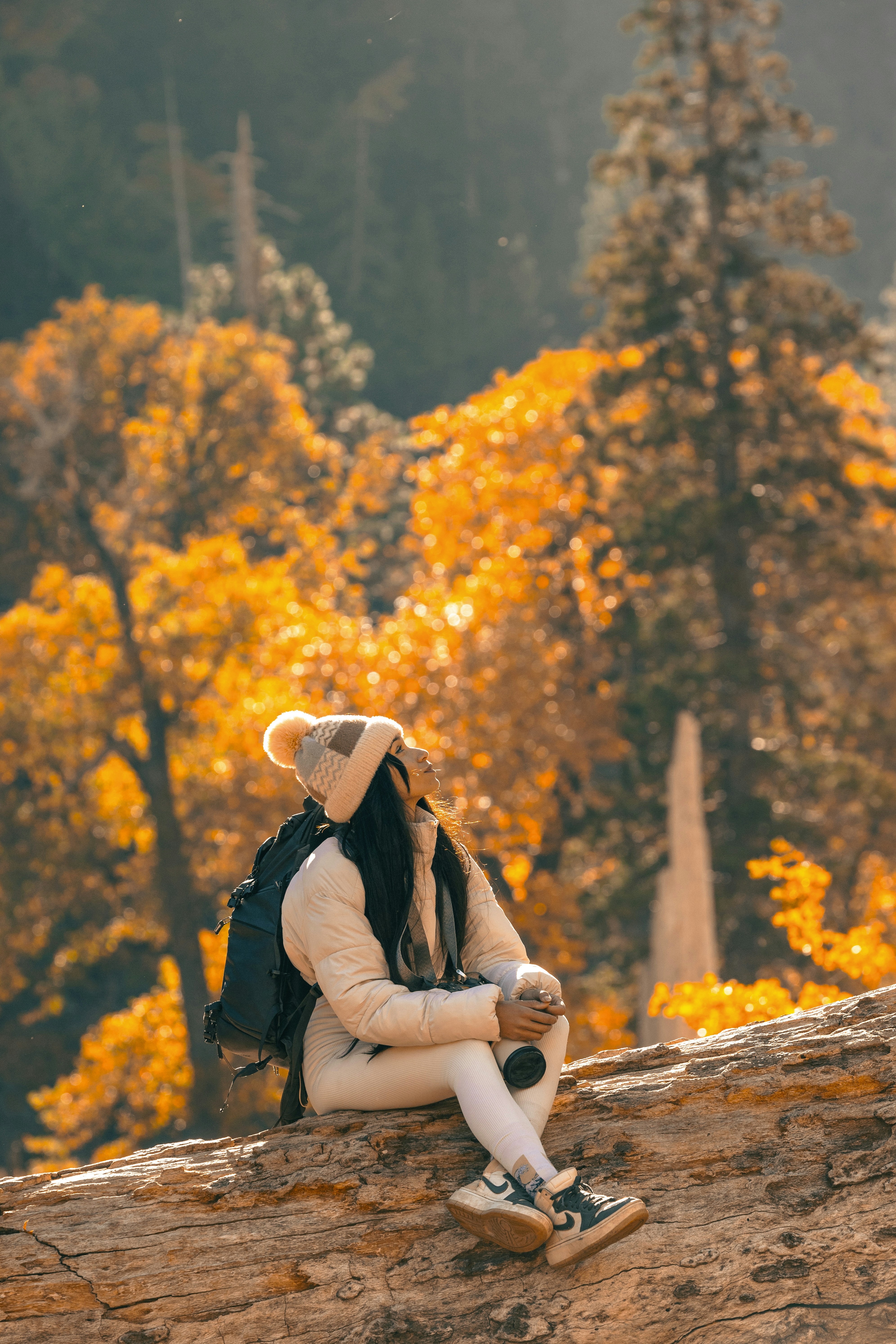 A woman sitting on top of a tree log photo – Free Yosemite Image on ...