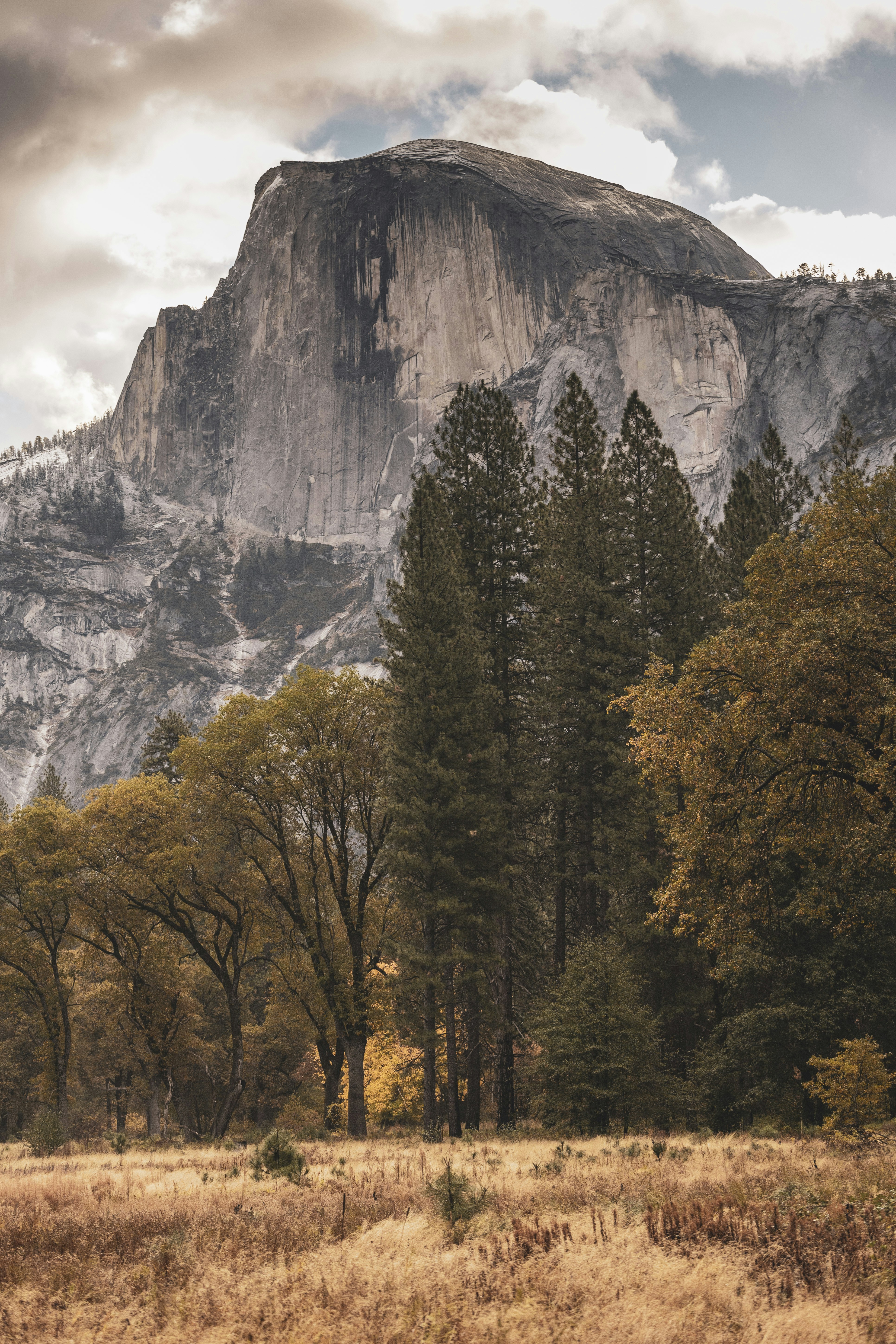 YOSEMITE , NATIONAL PARK , OUTDOORS