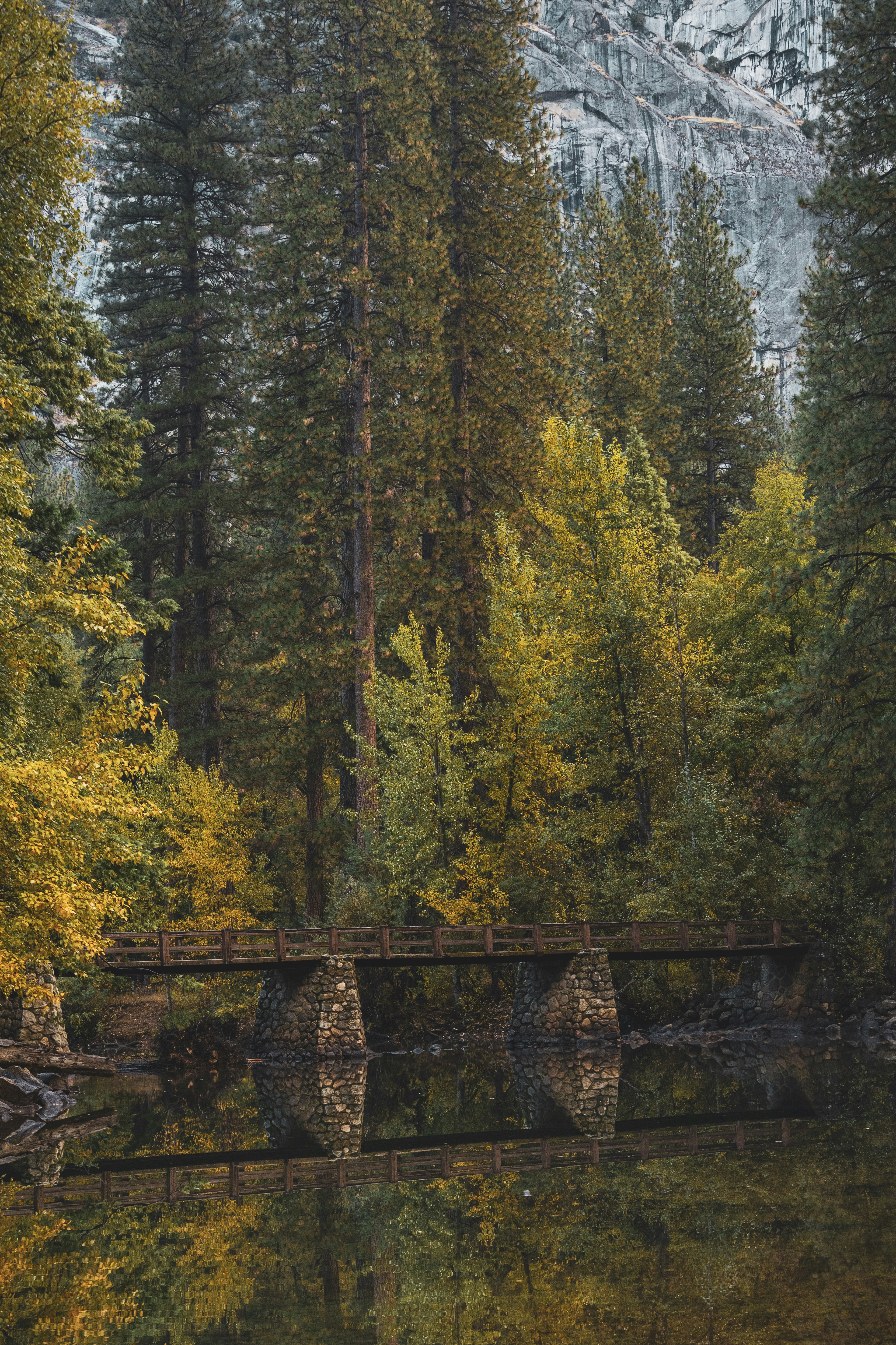YOSEMITE , NATIONAL PARK , OUTDOORS