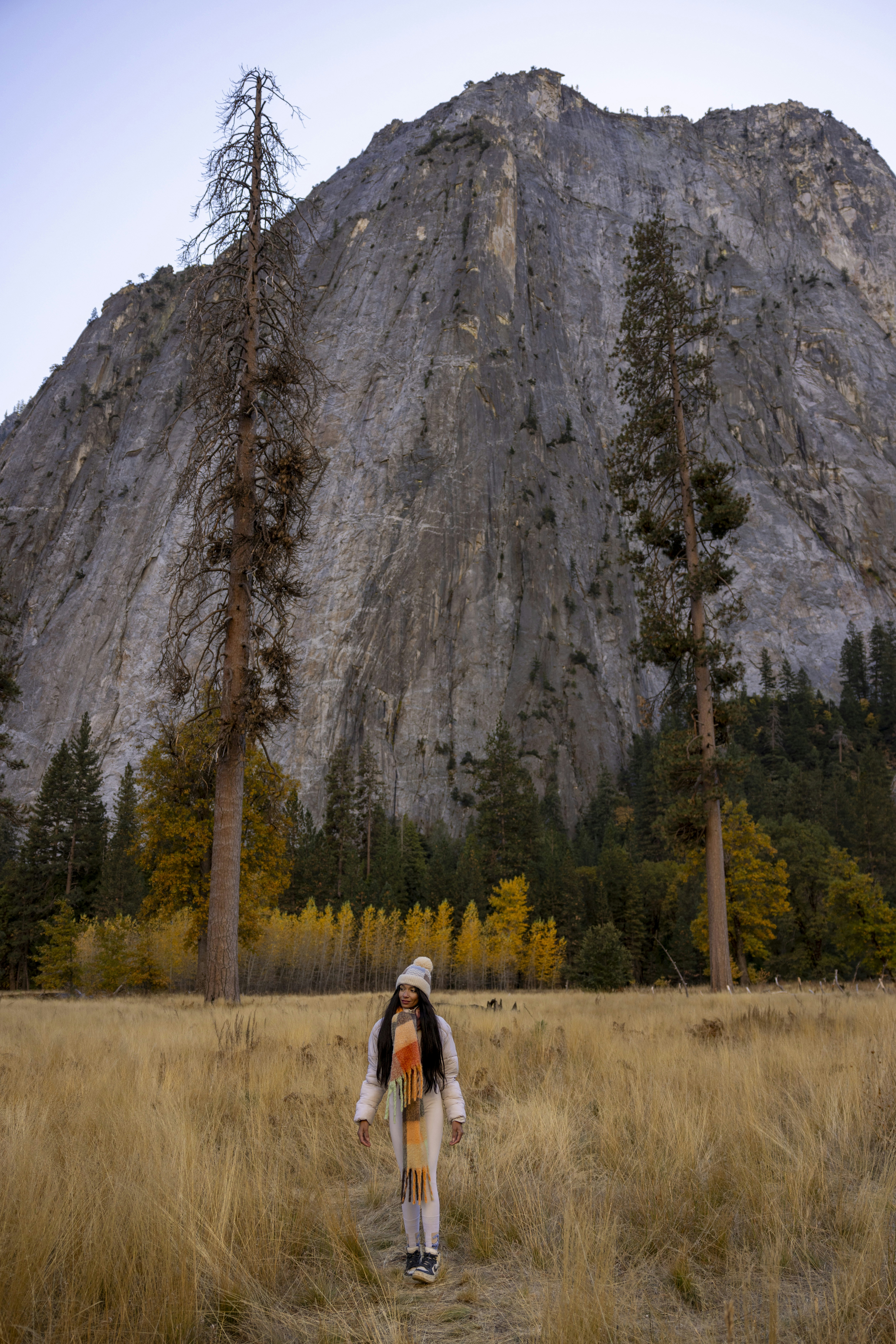 Hiker in Golden Meadow Beneath a Towering Sierra