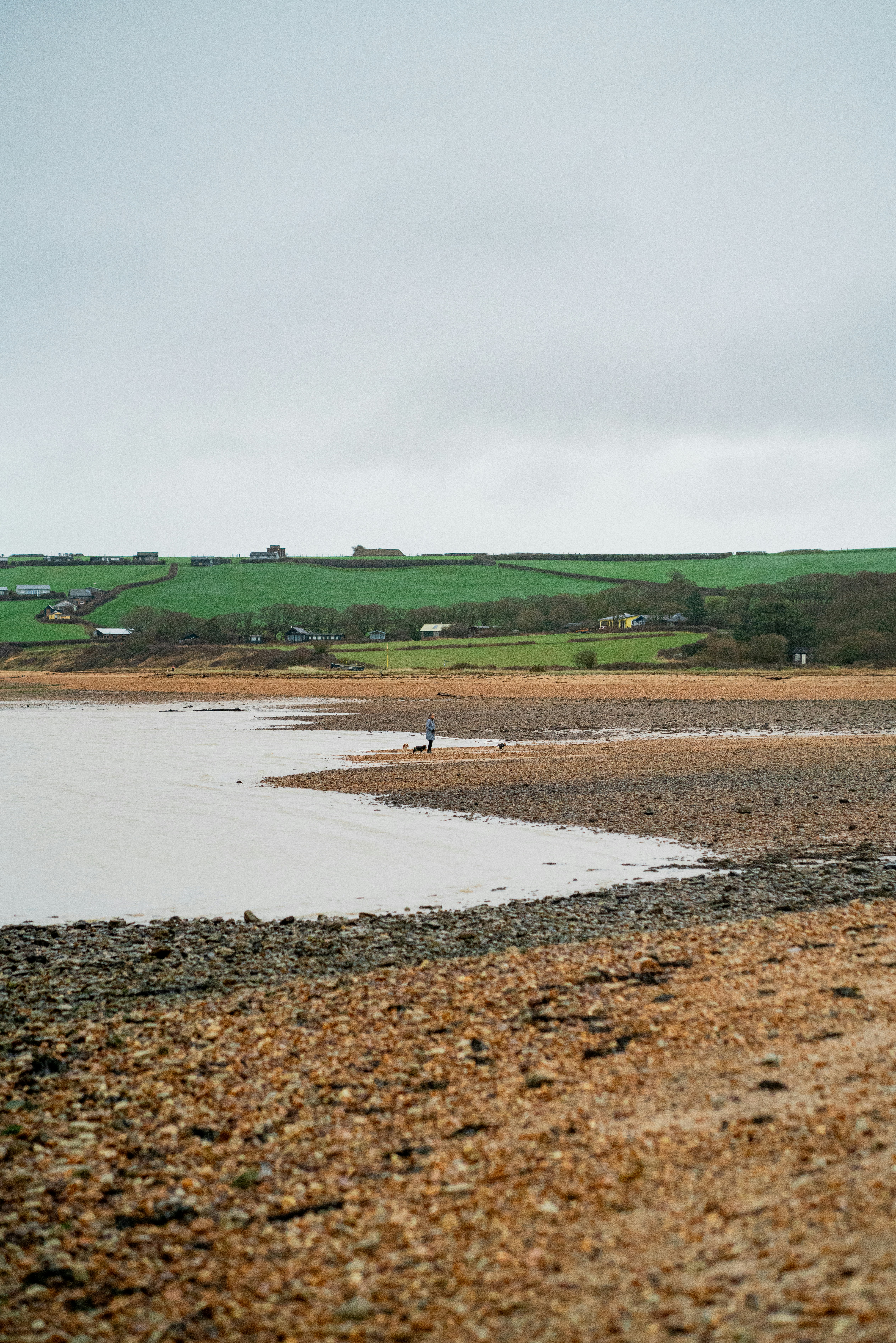 Quiet Tide Along the Pebble Edge: A Lone Walker in a Green-Hilled Estuary