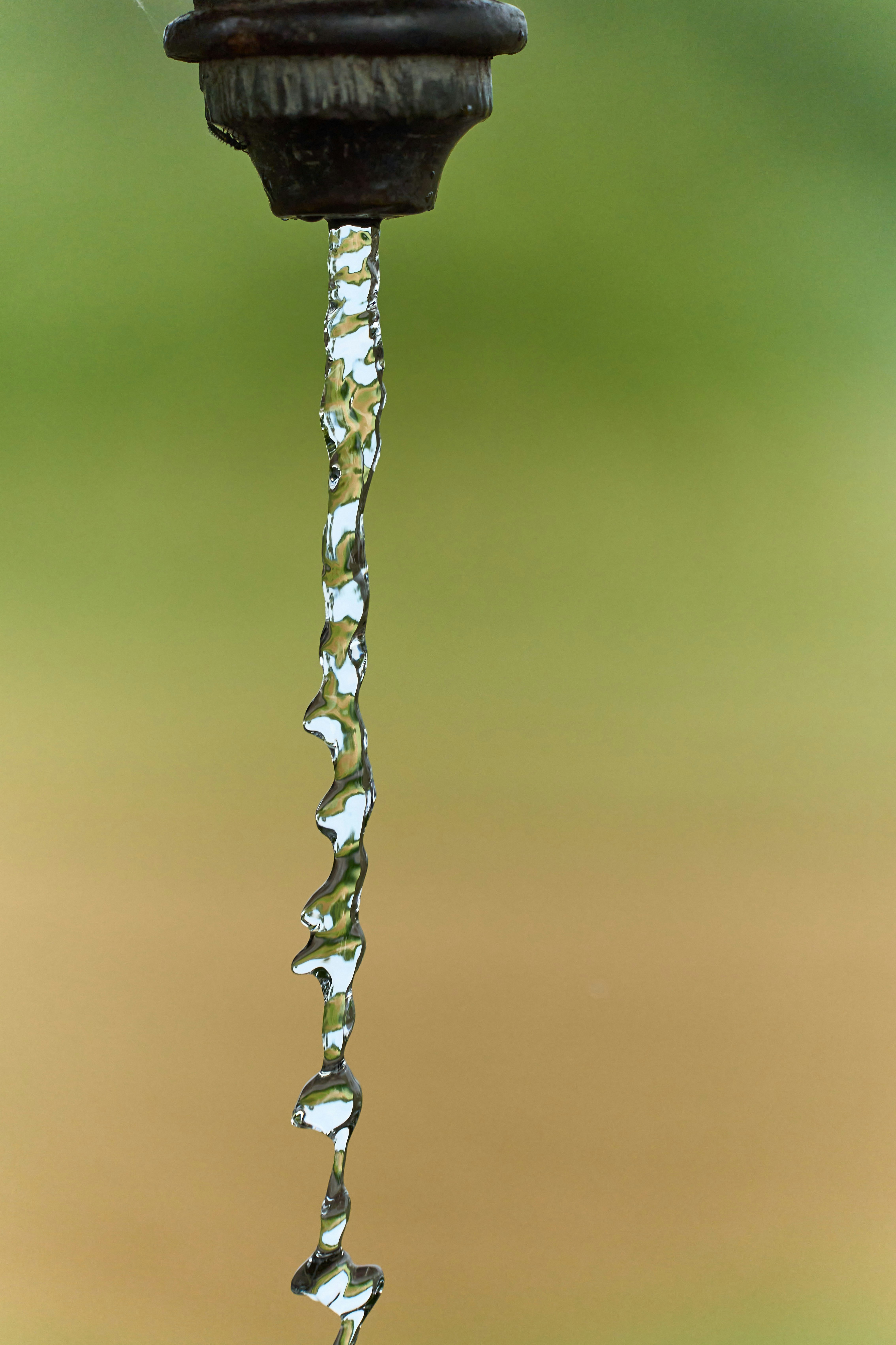 Drip Irrigation Pictures | Download Free Images on Unsplash
