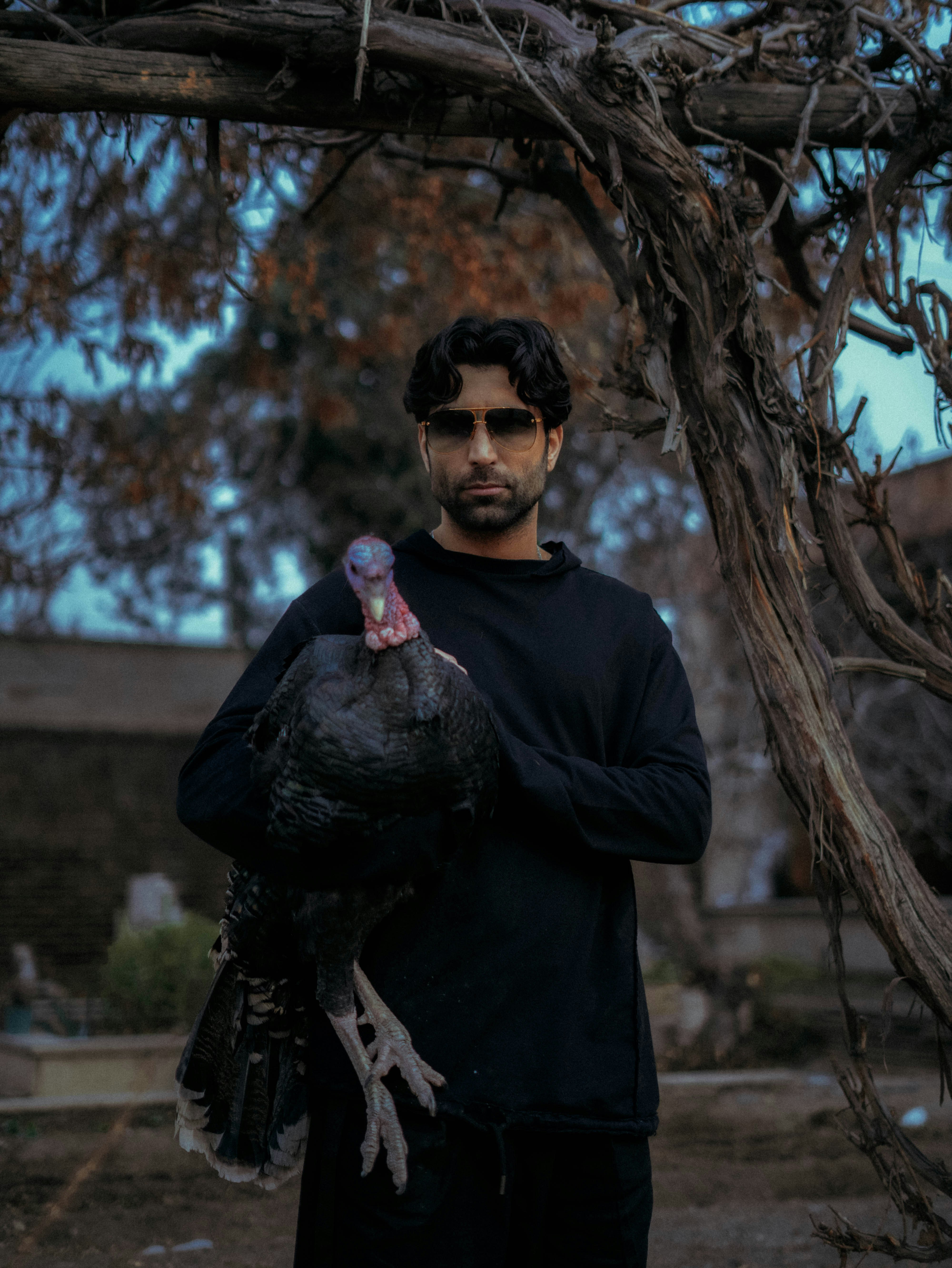 Dusk Portrait Under a Tangle of Branches: A Man and His Turkey