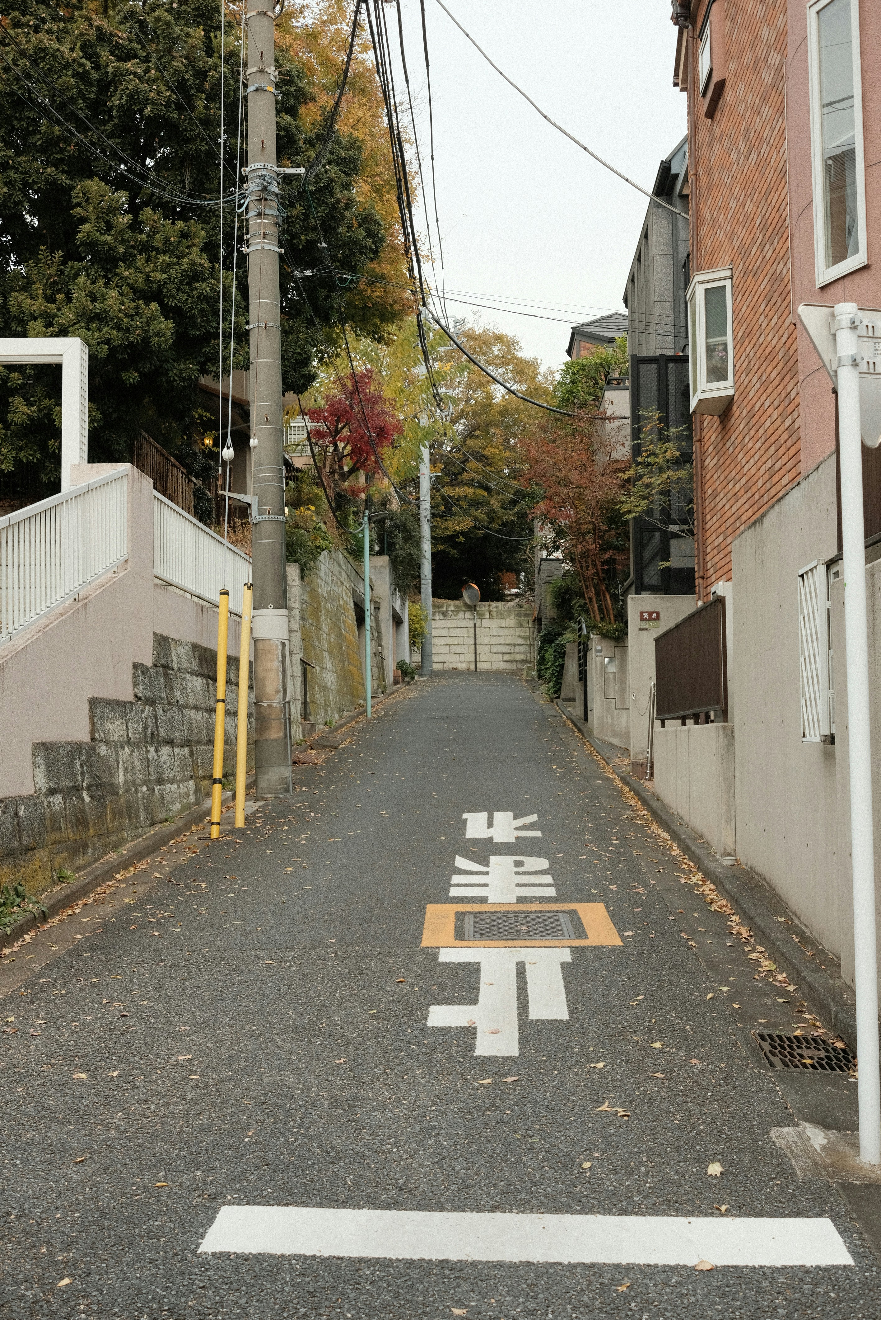 Quiet alleyway flanked by houses with autumn foliage converging toward a distant staircase
