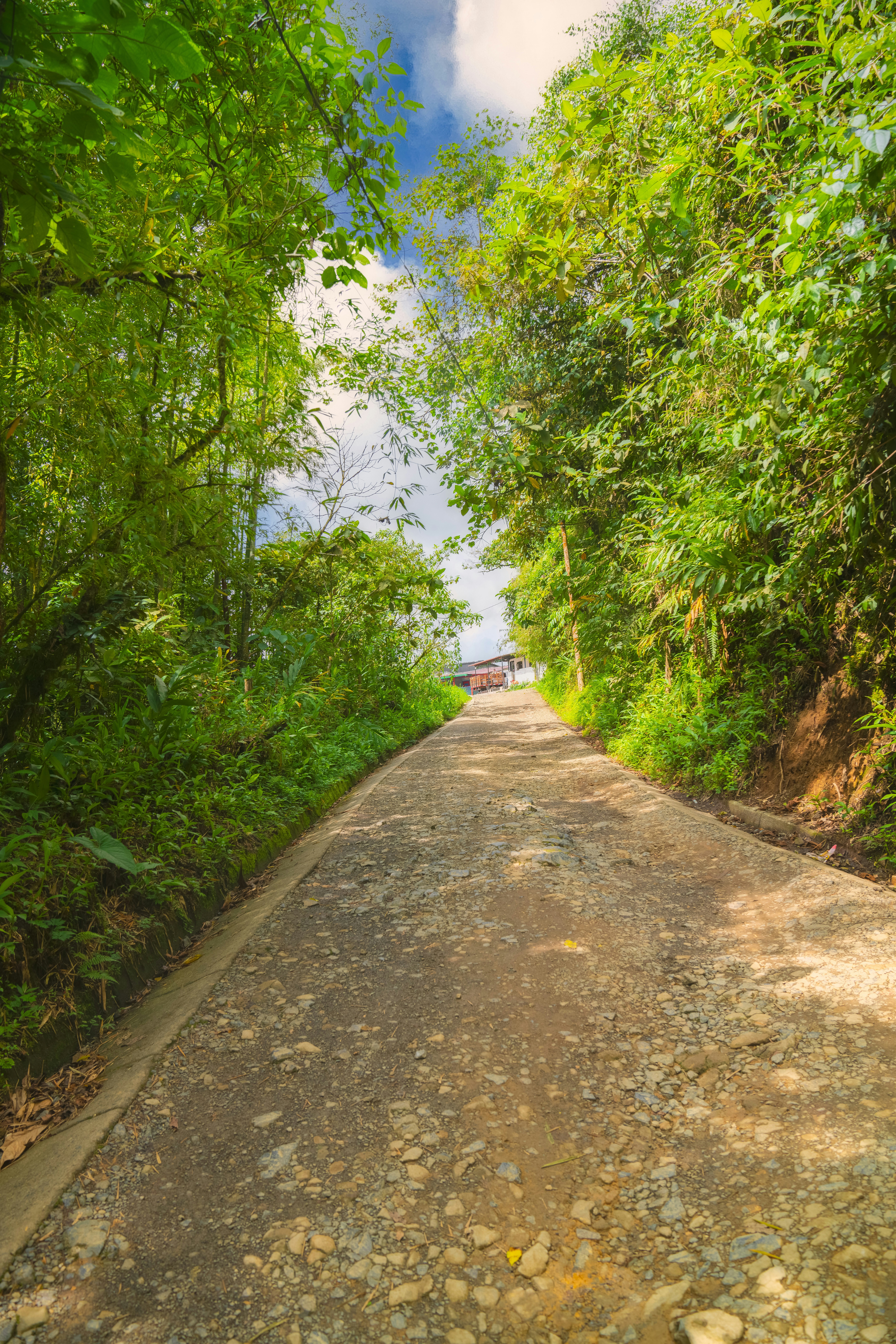 Freddy Jim (@freddyphotography) | Communauté photos Unsplash