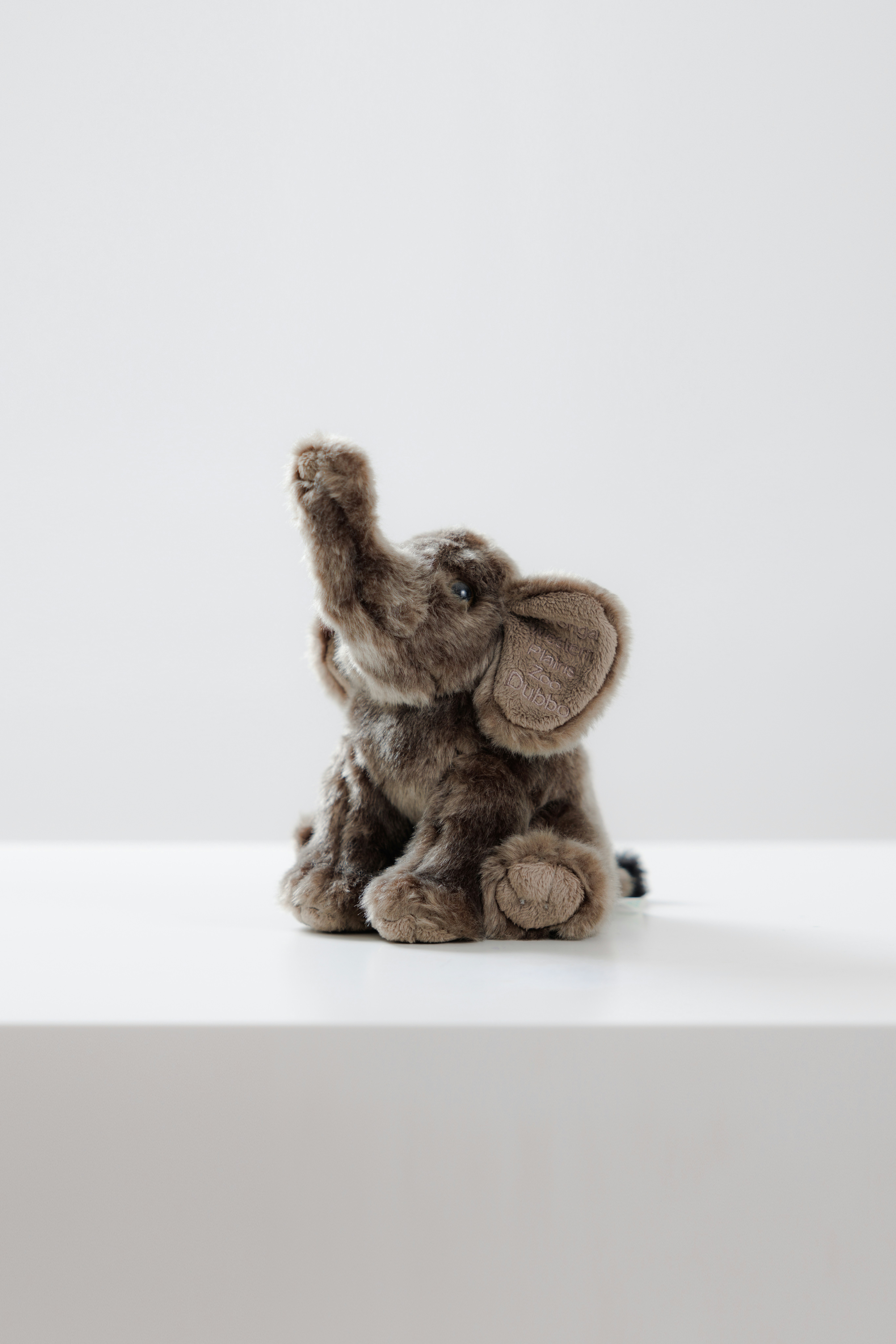 Tiny Giant: A Plush Elephant Reaches for the Light