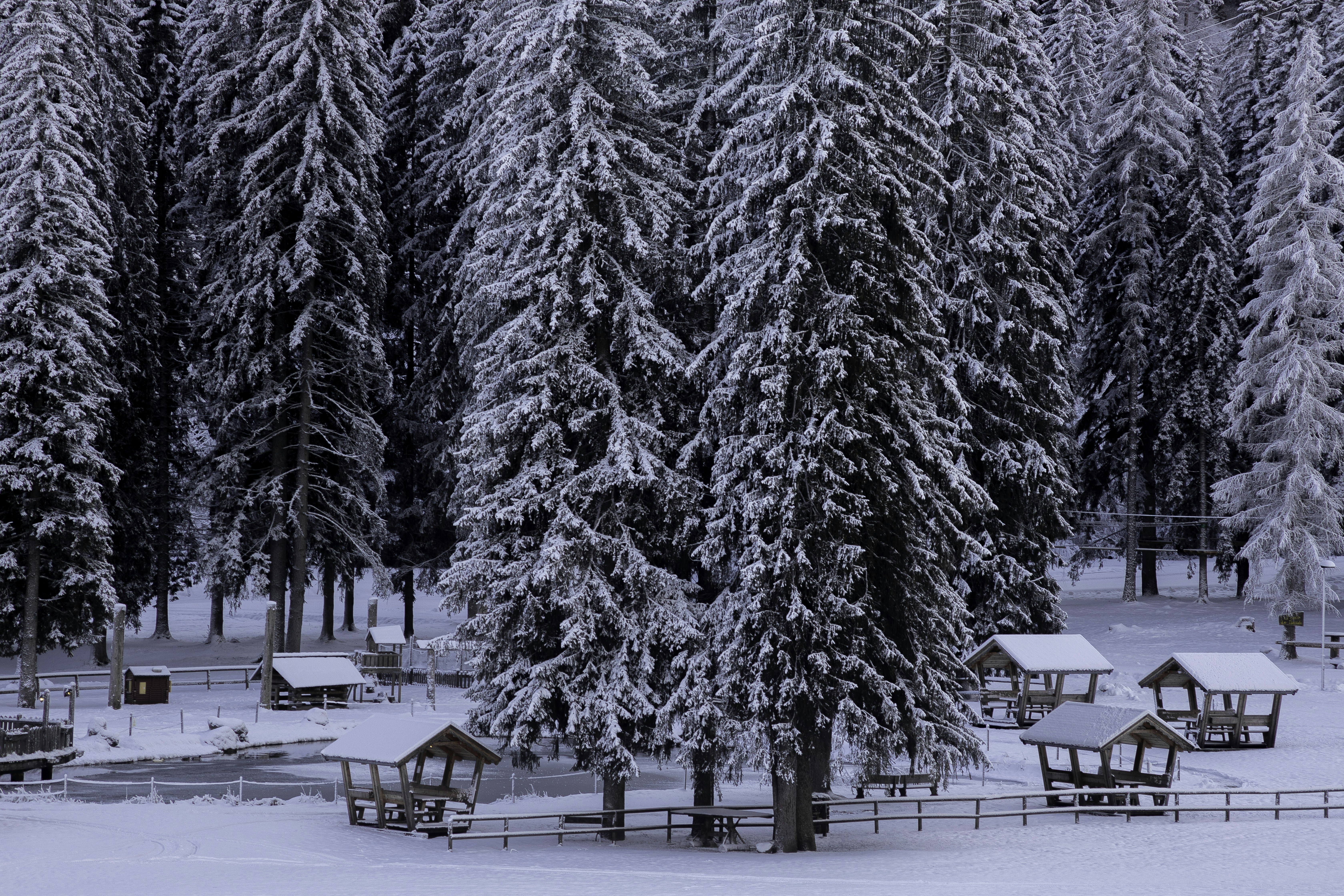 Matteo Vella (@dragomv) | Unsplash Photo Community