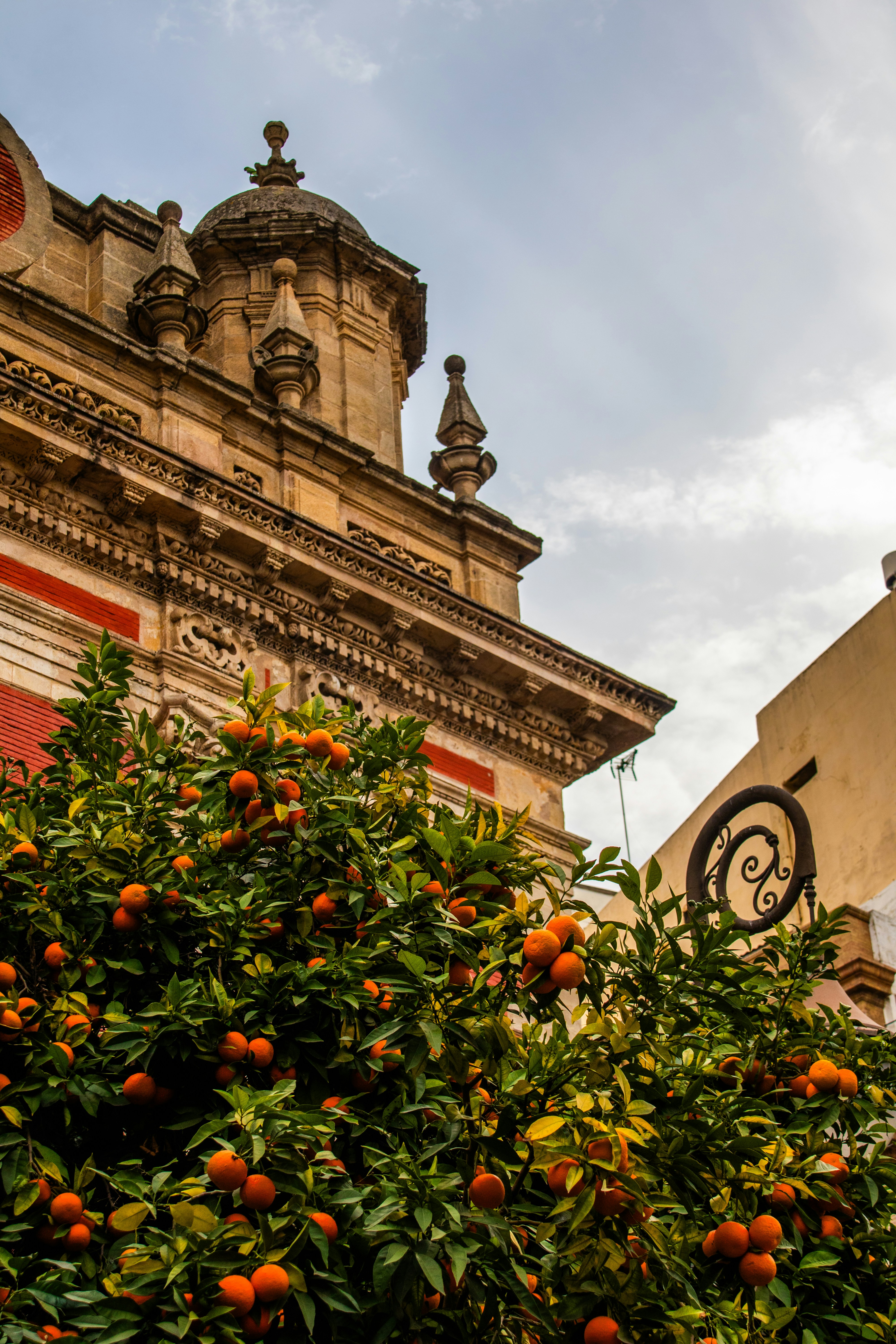 Ornate Architecture Meets Citrus Canopy