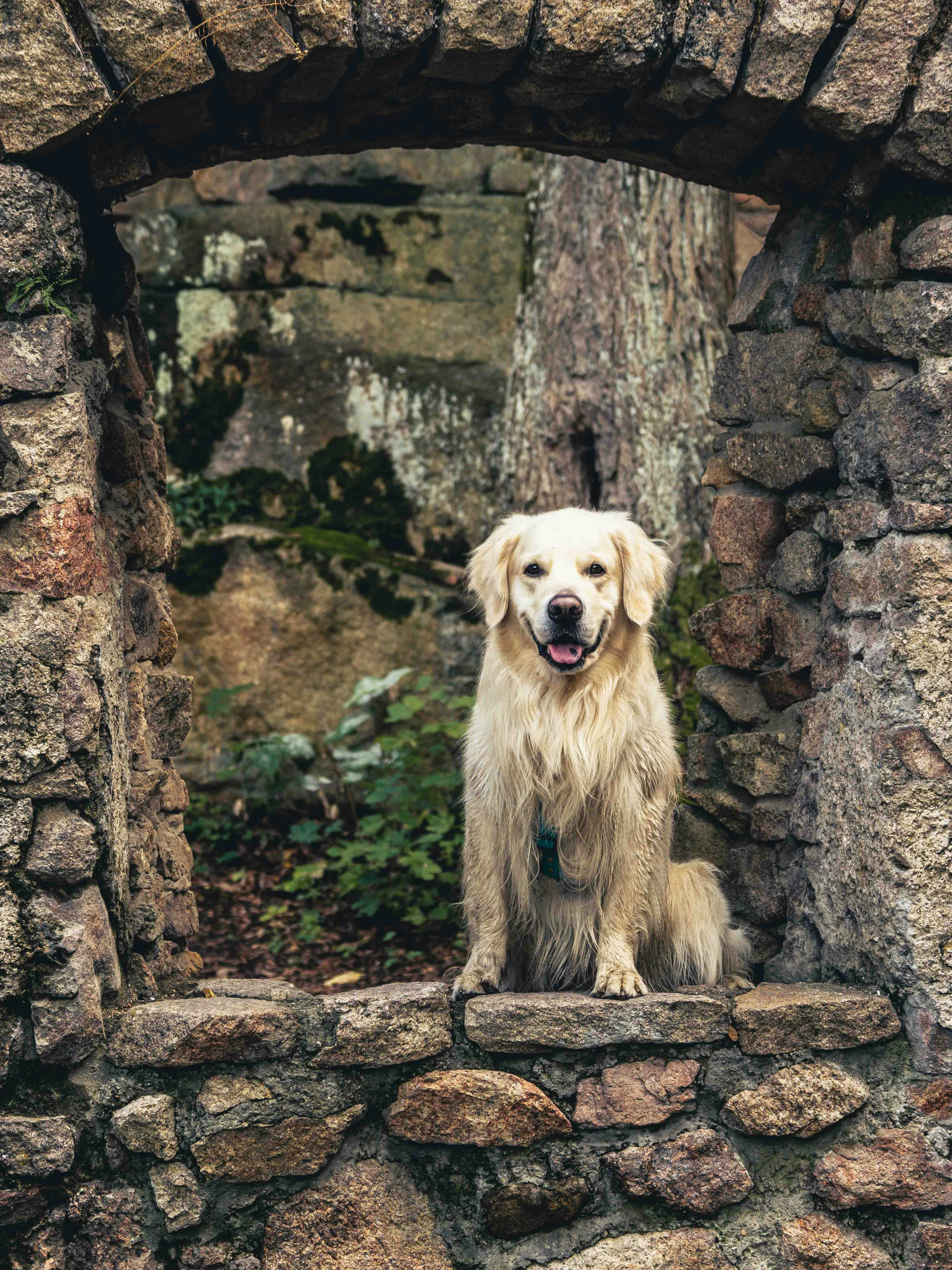 Photo by Mateusz Szerszyński with OM System OM-1