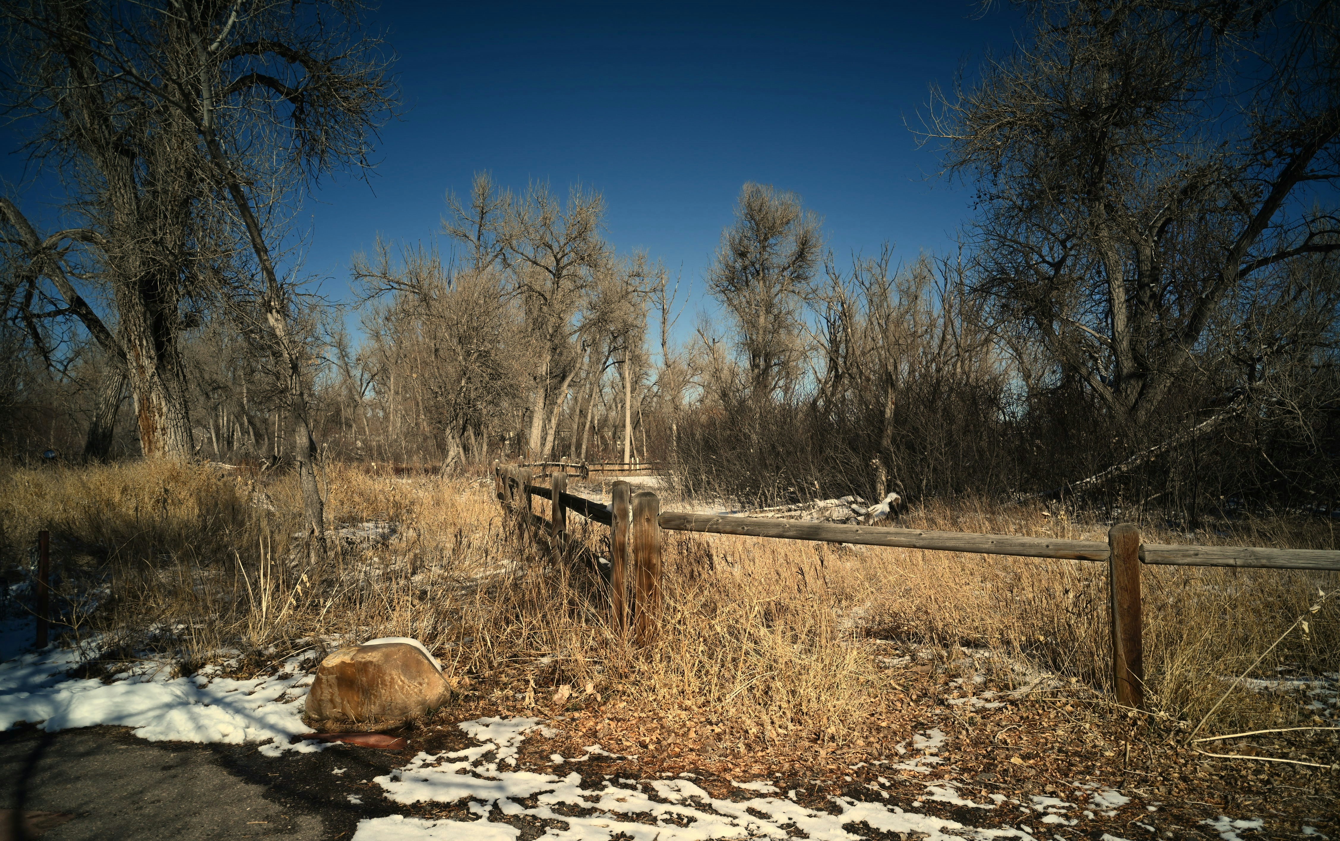 Fenceline Odyssey: A Quiet Winter Field Under a Pristine Blue Sky