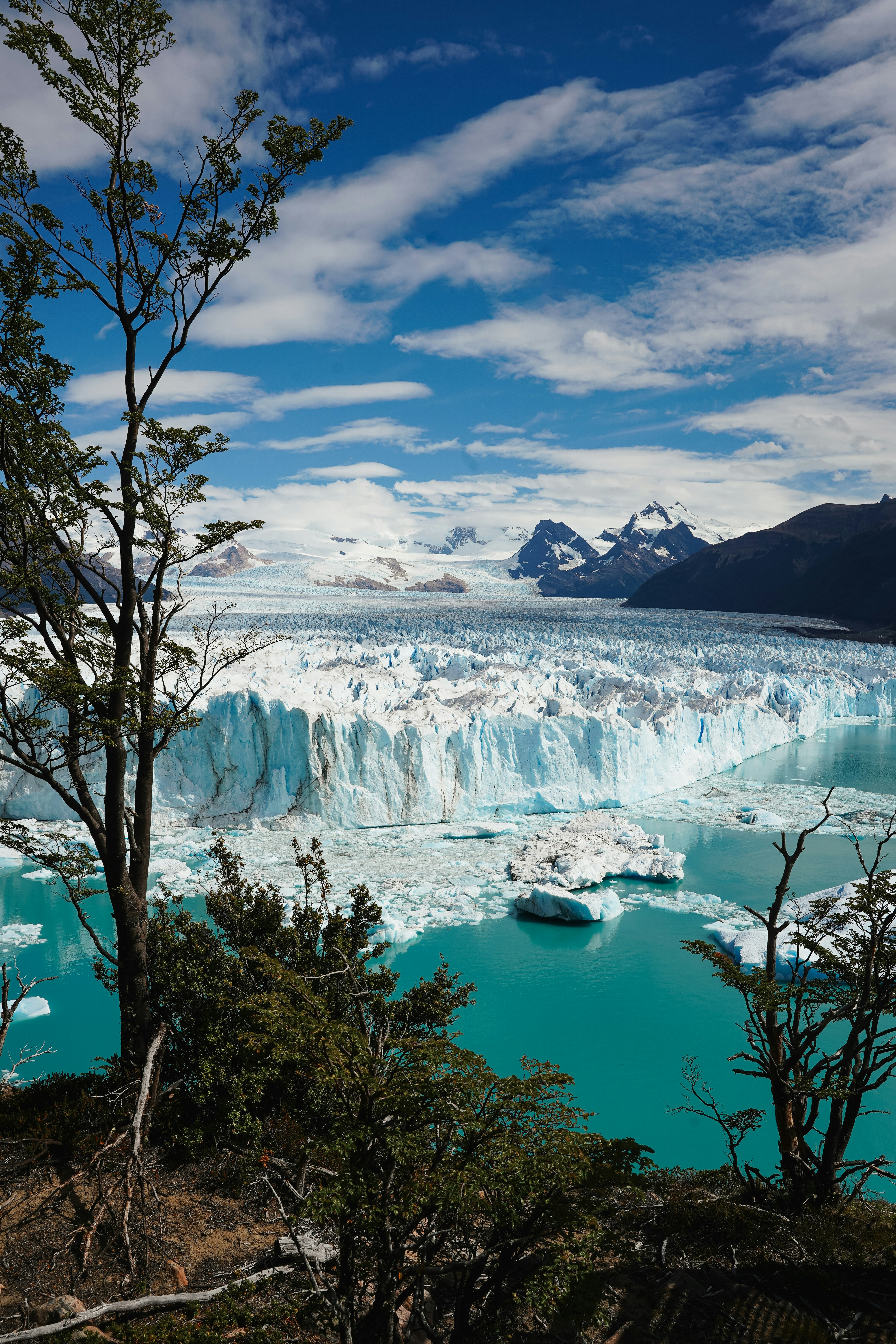 Un gran glaciar en medio de un cuerpo de agua foto – Imagen de Glaciar ...