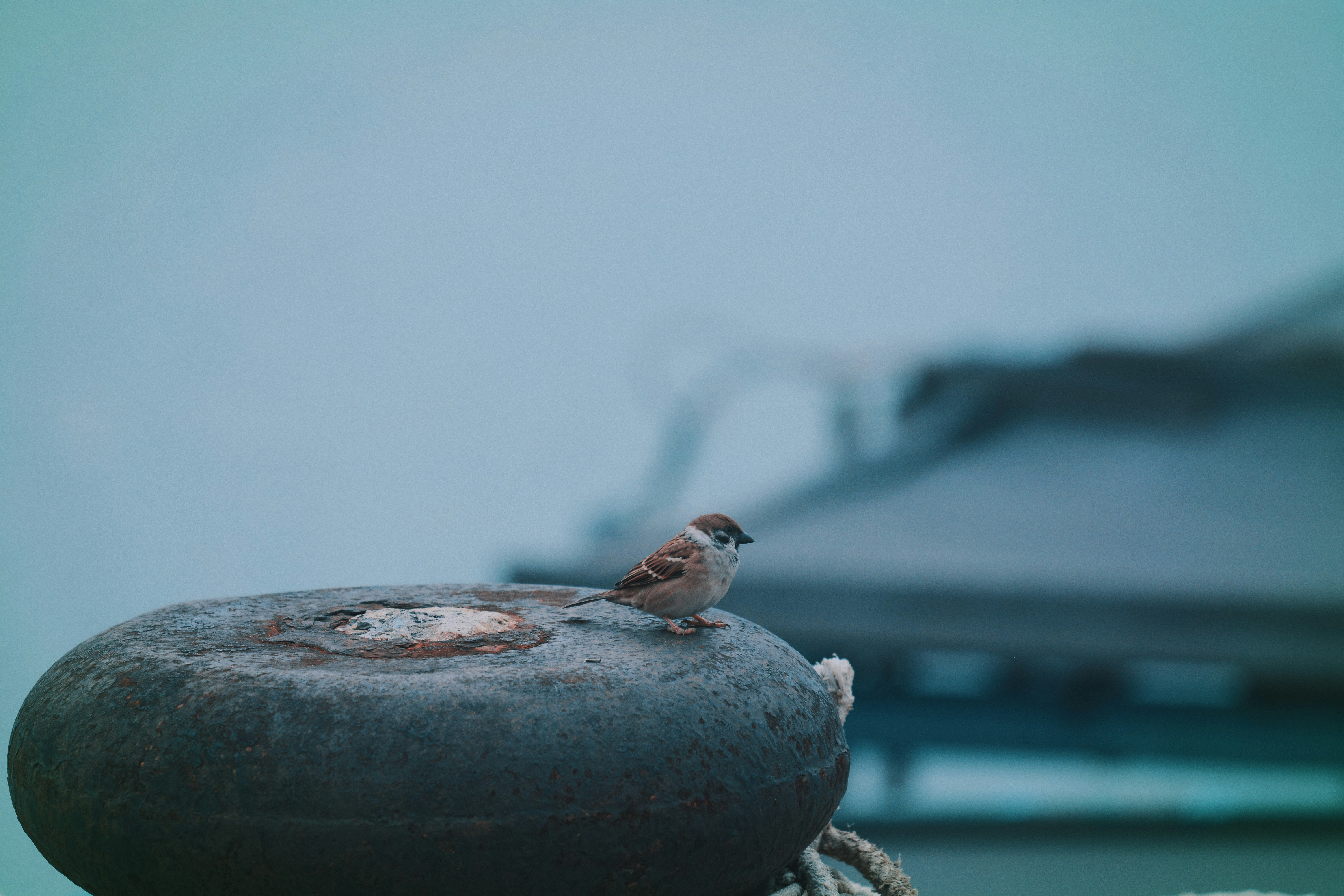 Photo by James Hunt with Nikon D7100