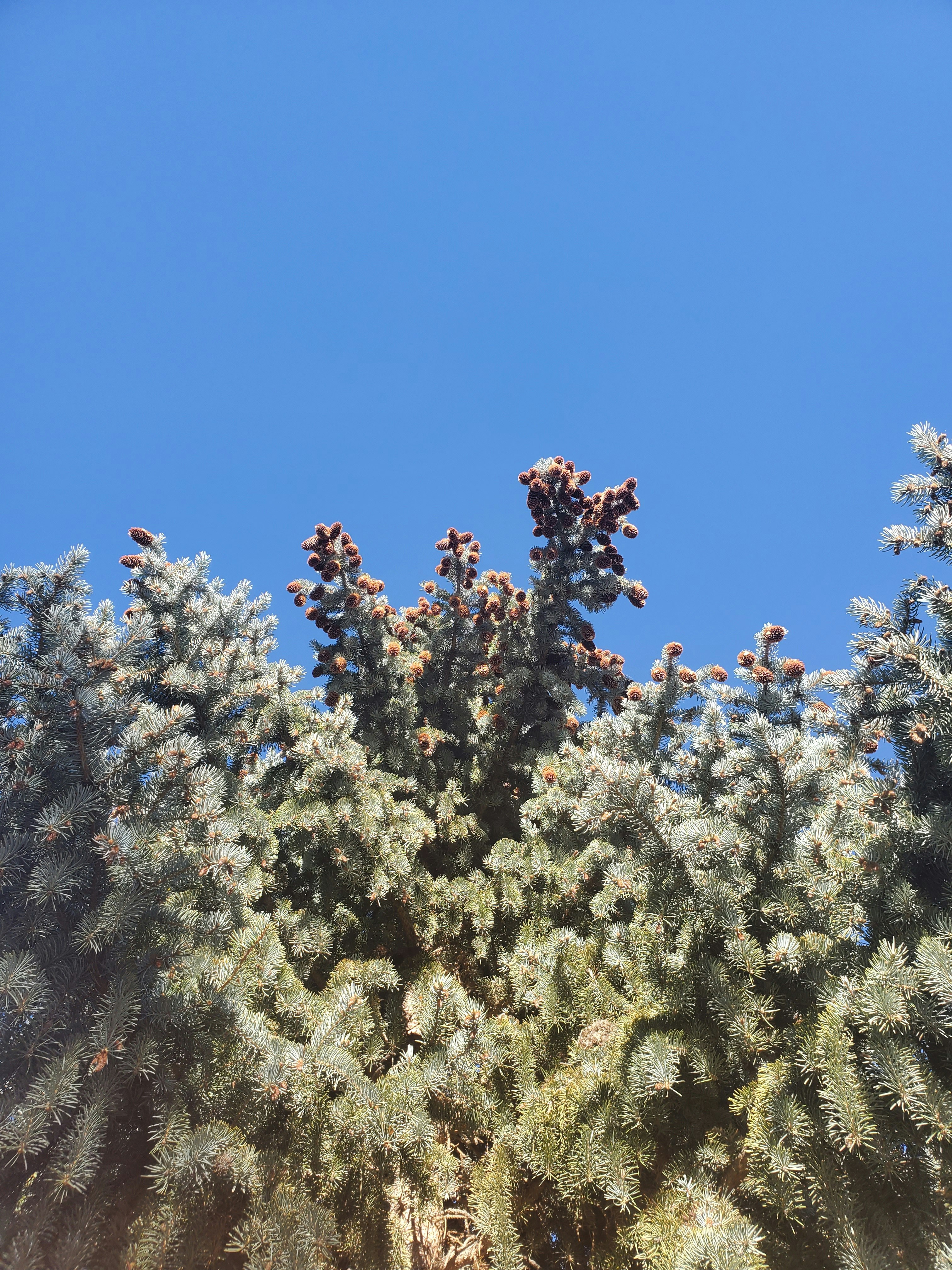 Ben Whitaker (@benjaminwhitaker) | Komunitas Foto Unsplash