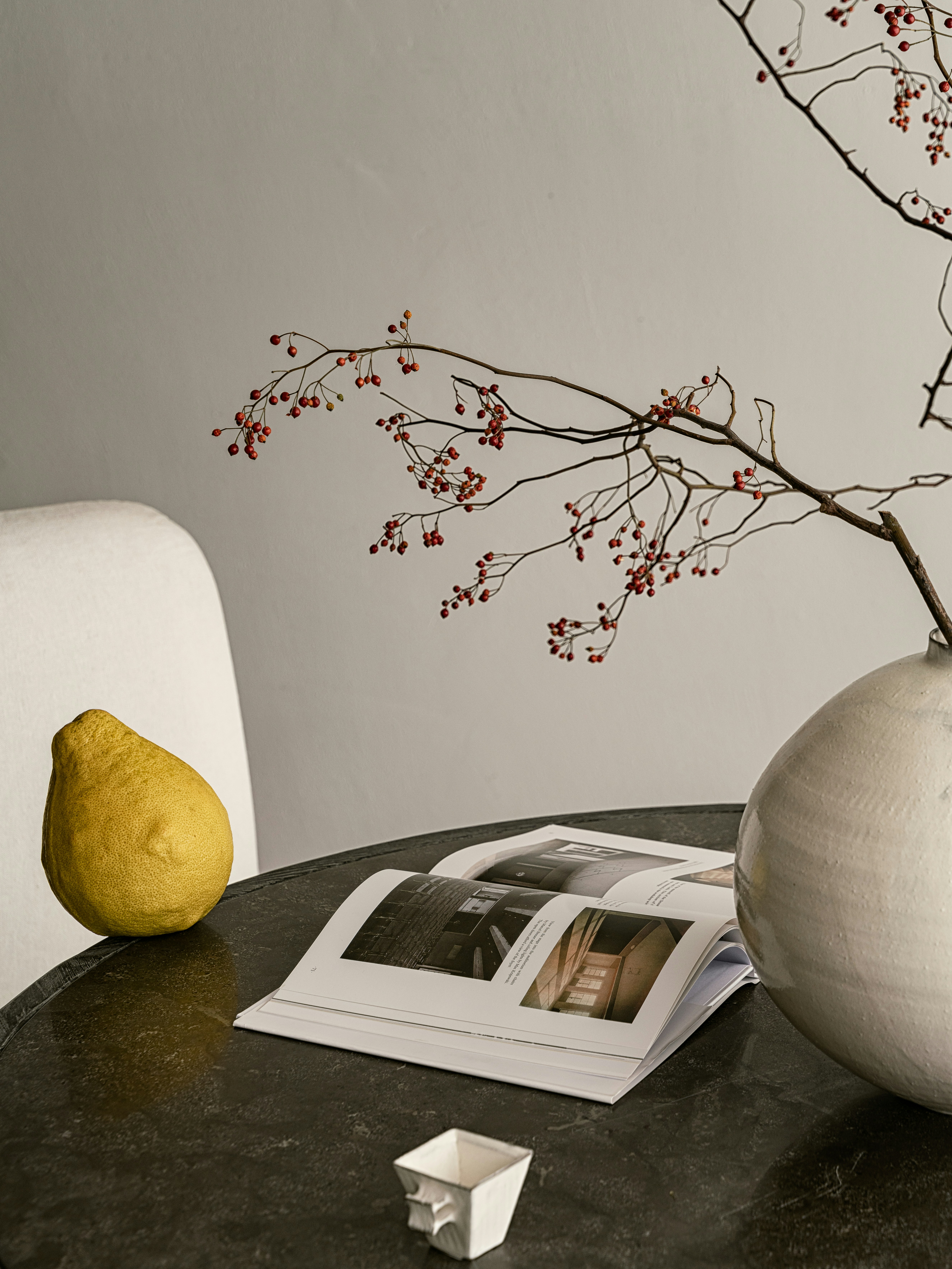 Quiet Harmony: Red Berries and Yellow Pear