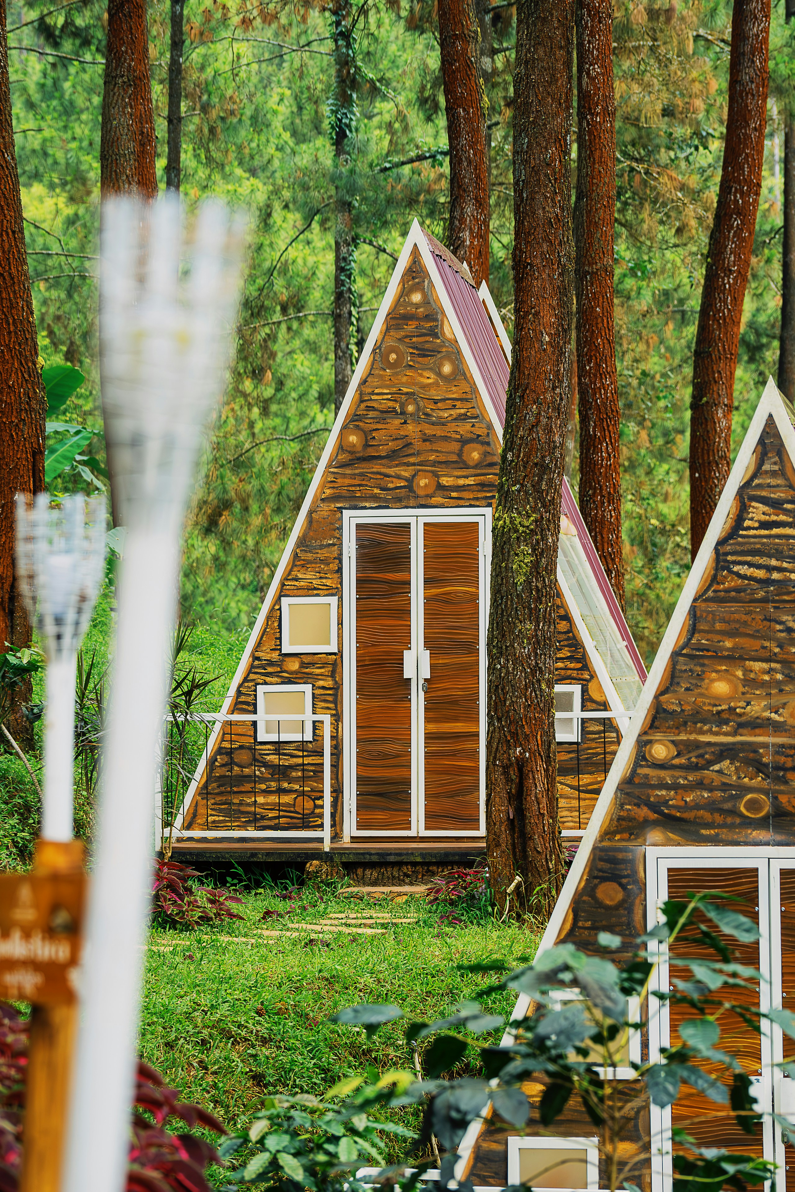Pine-Needle Triangles: A-Frame Retreats in a Quiet Pine Grove