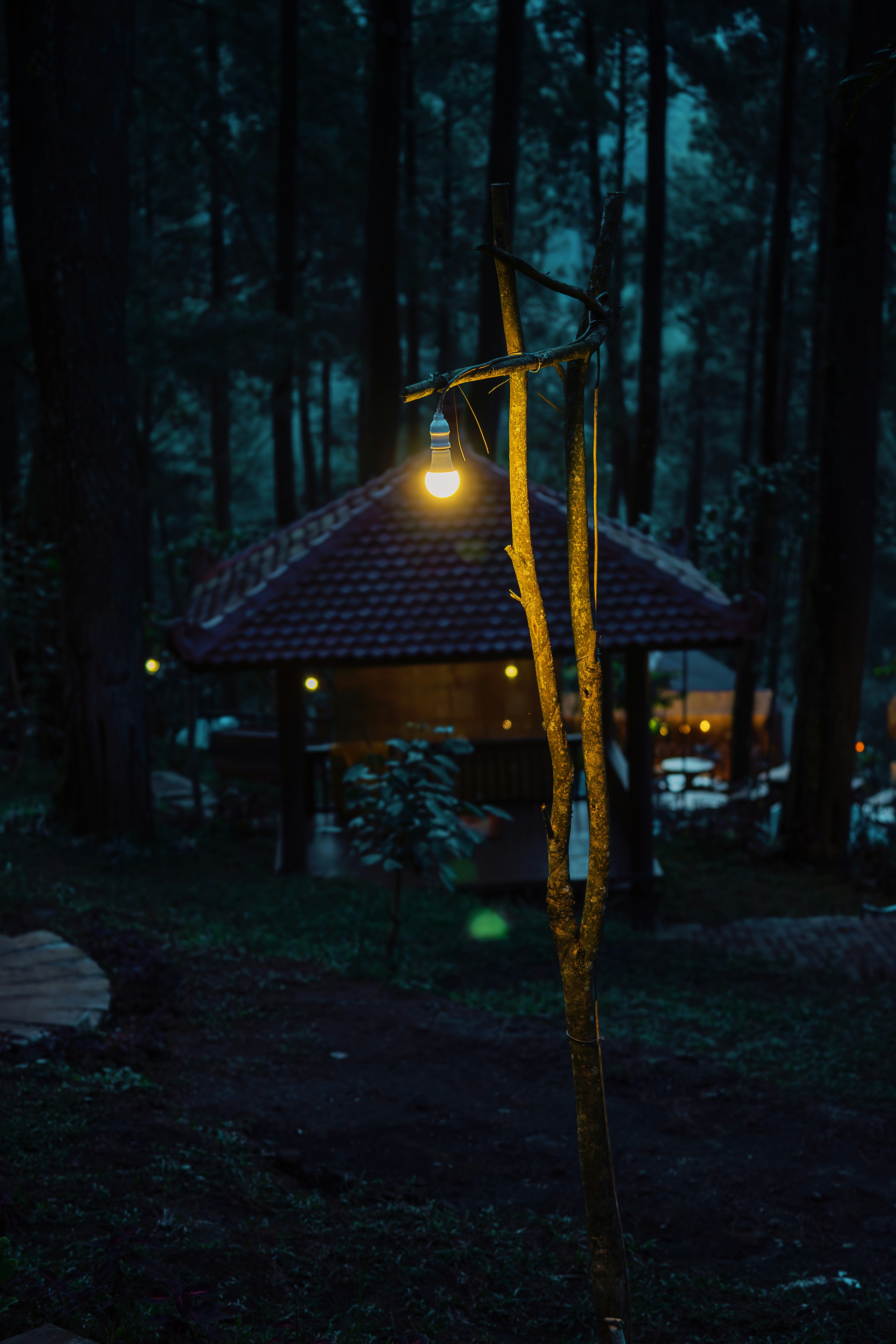 Lone Lantern Over a Forest Pavilion at Night
