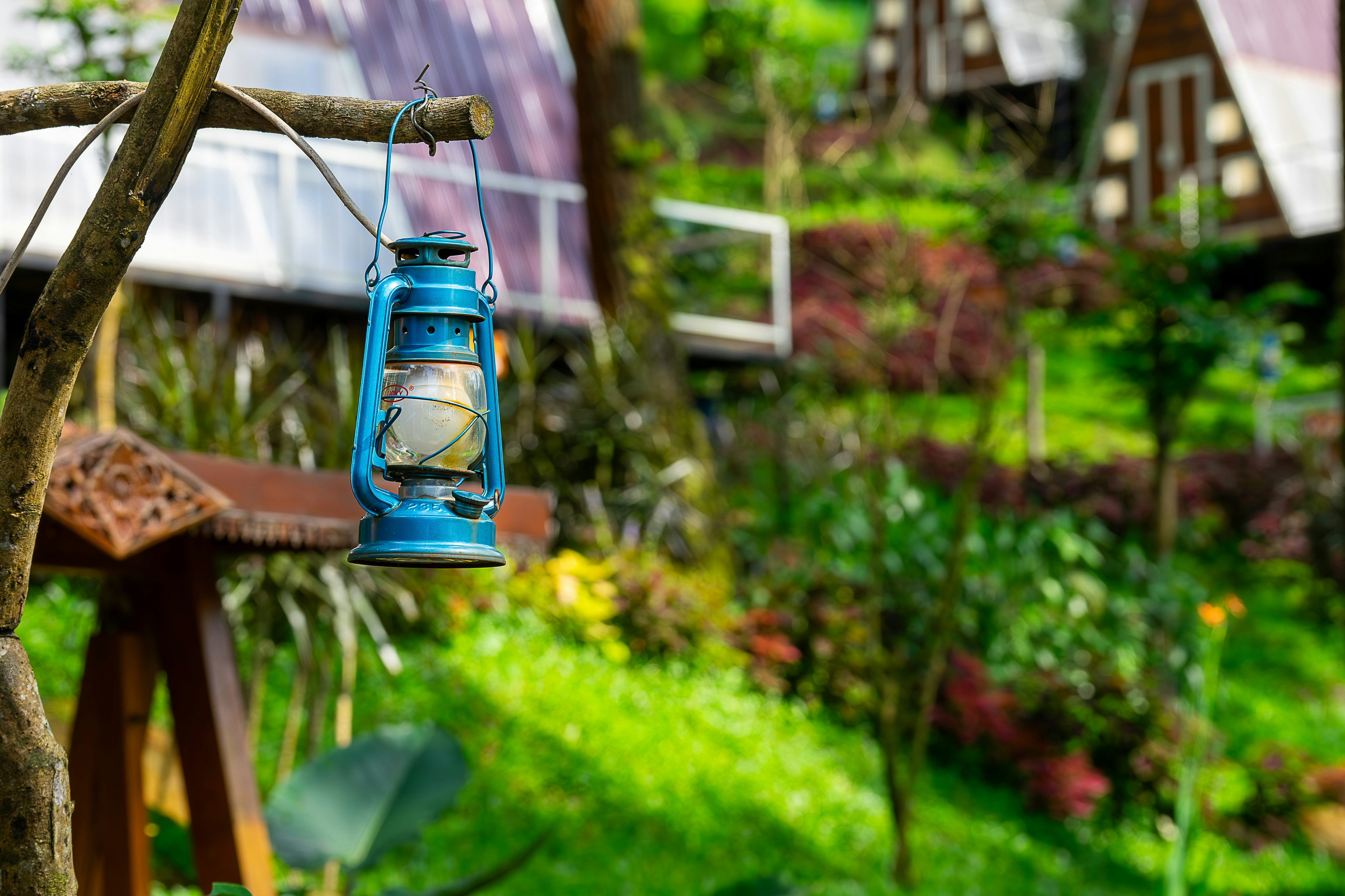 Un farol azul colgado de un árbol en un jardín foto – Imagen de Trawas ...