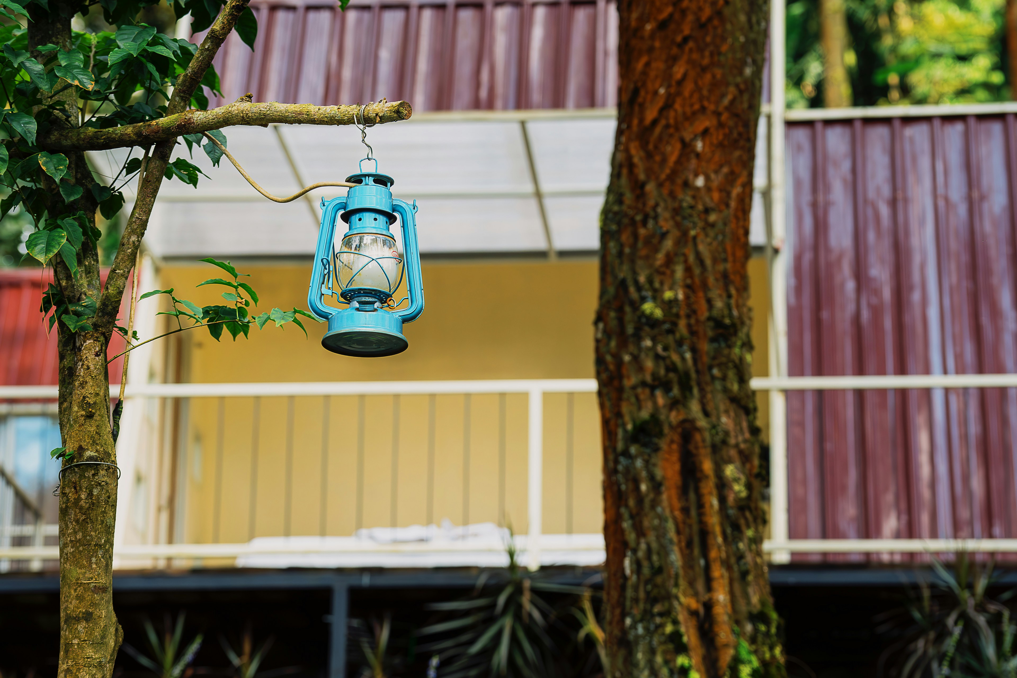 Un farol azul colgando de un árbol frente a un edificio foto – Imagen ...