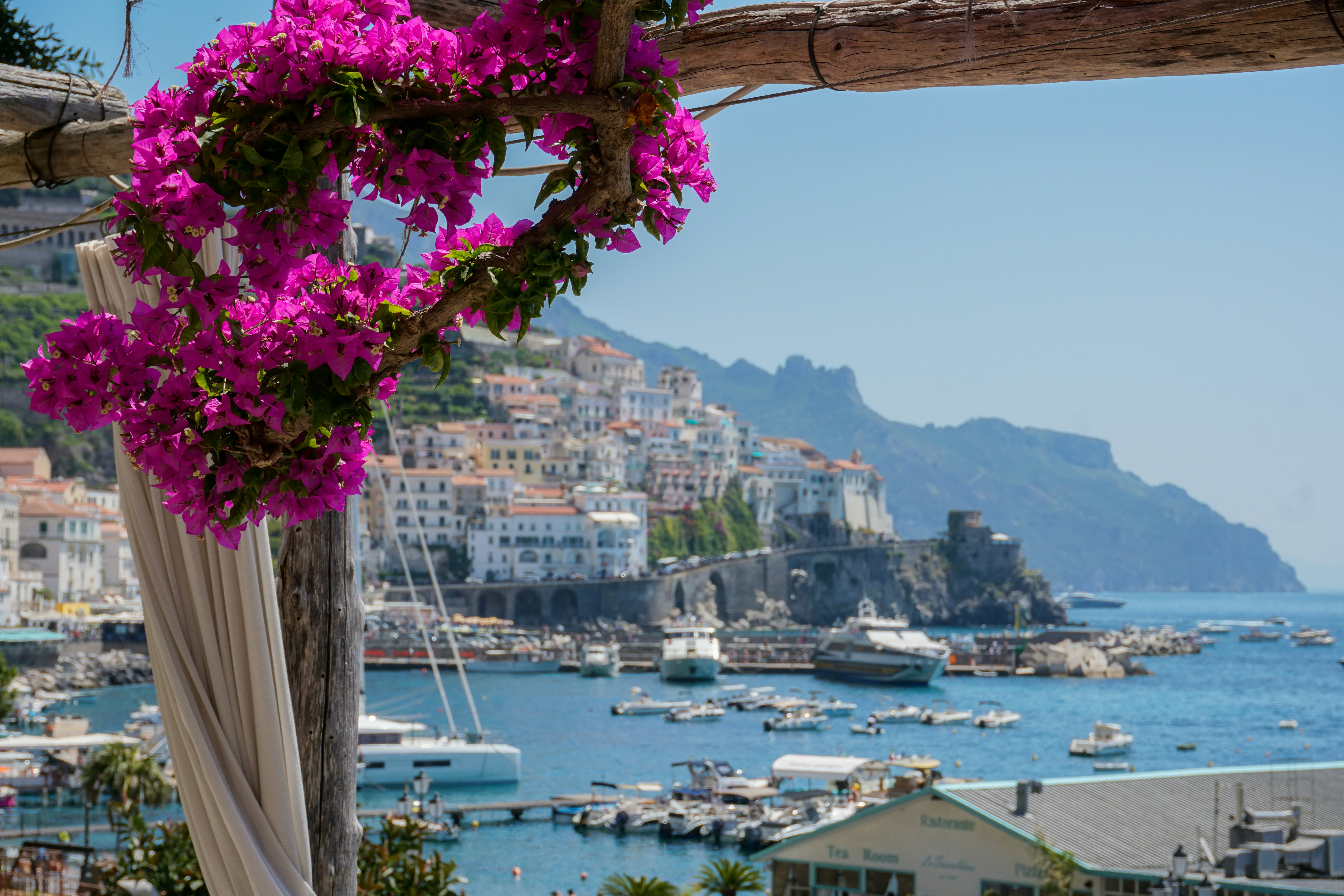 Pink bougainvillea frames a view of a coastal town with boats in a sparkling blue harbor.